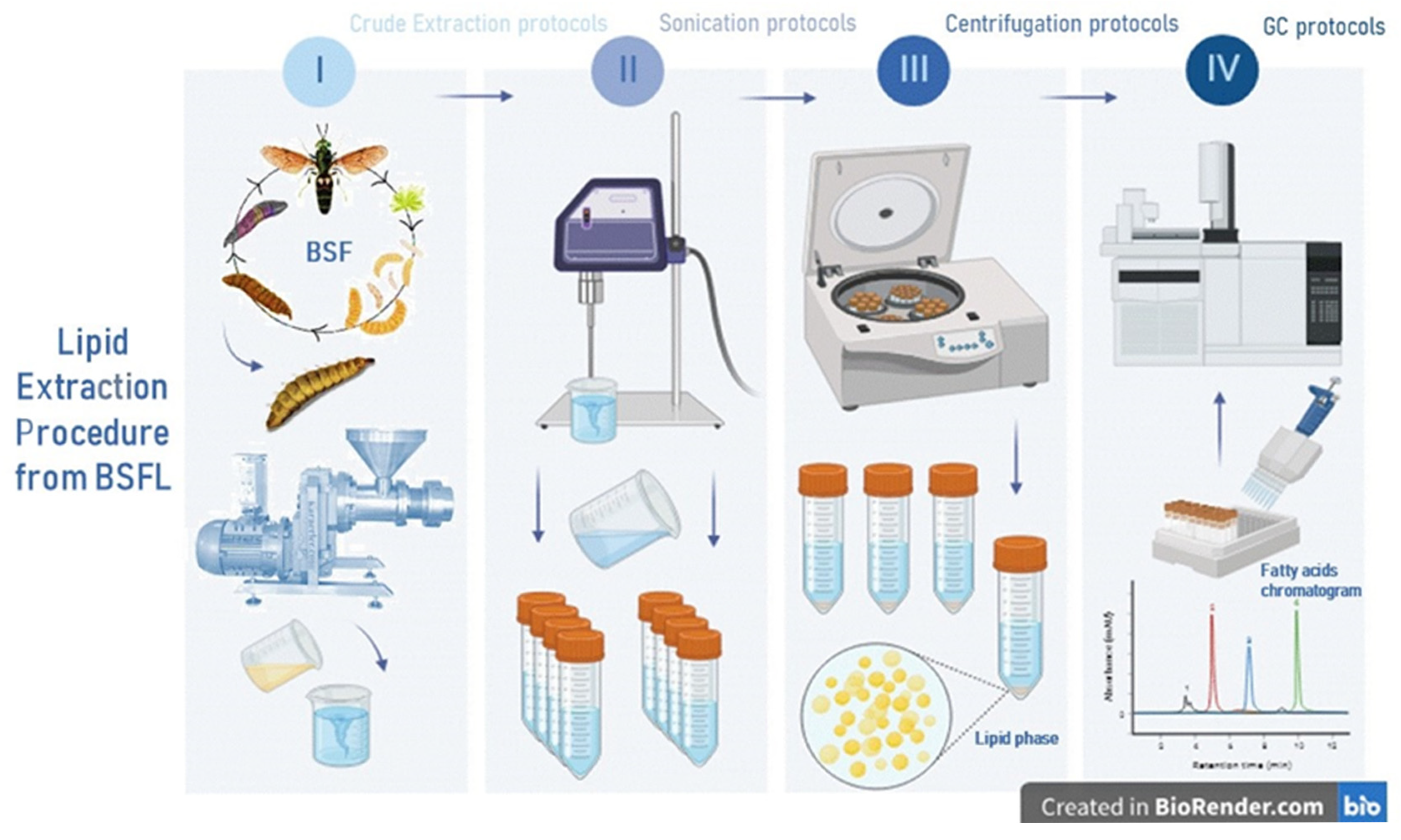 A Dual Strategy for Innovative Extraction and Nutritional Efficacy of ...