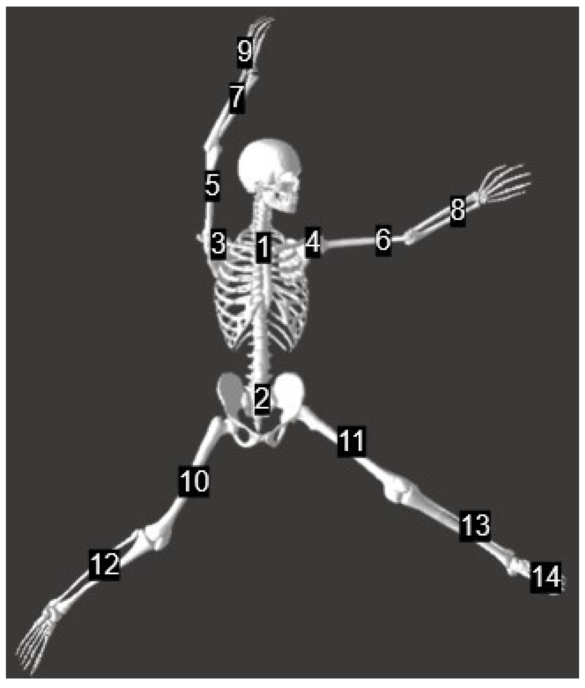 The Softball Pitching Plane (SPP): A Reliable Geometric Descriptor of ...