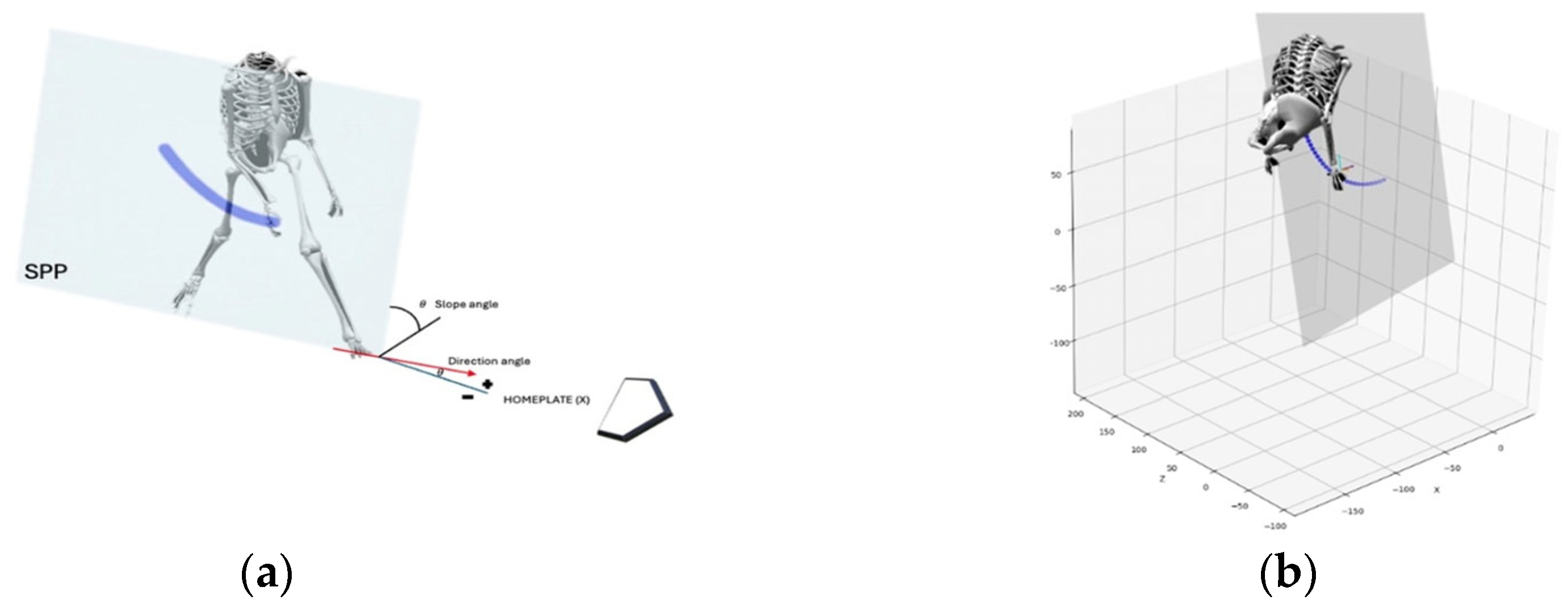 The Softball Pitching Plane (SPP): A Reliable Geometric Descriptor of ...