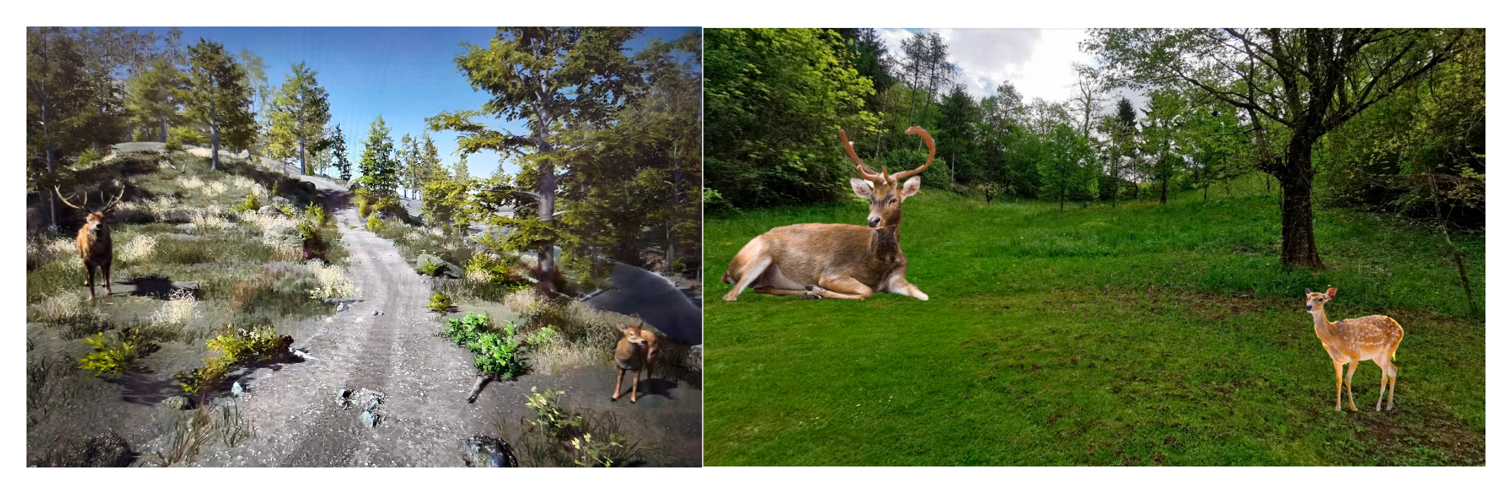 Using Virtual Reality to Promote Cognitive Engagement in Rett Syndrome ...