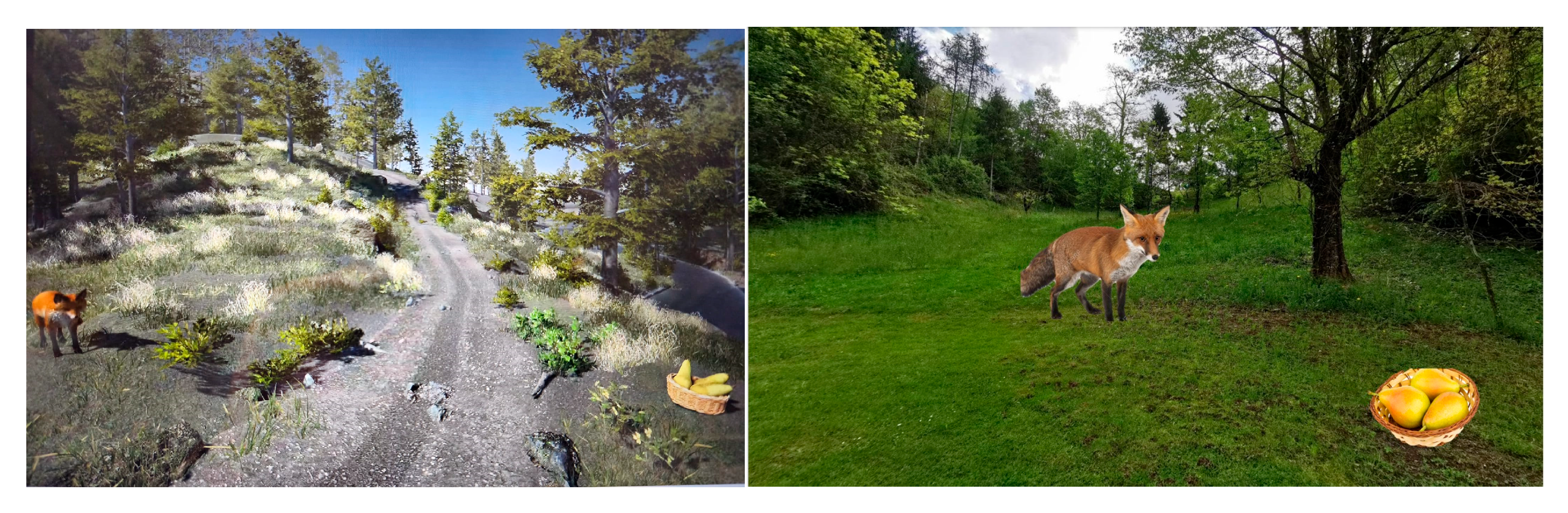 Using Virtual Reality to Promote Cognitive Engagement in Rett Syndrome ...