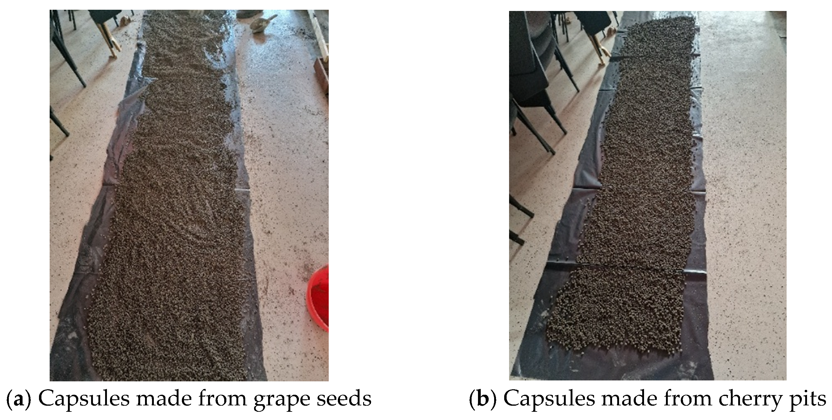 Performance of Bacterial Concrete with Agro-Waste Capsules