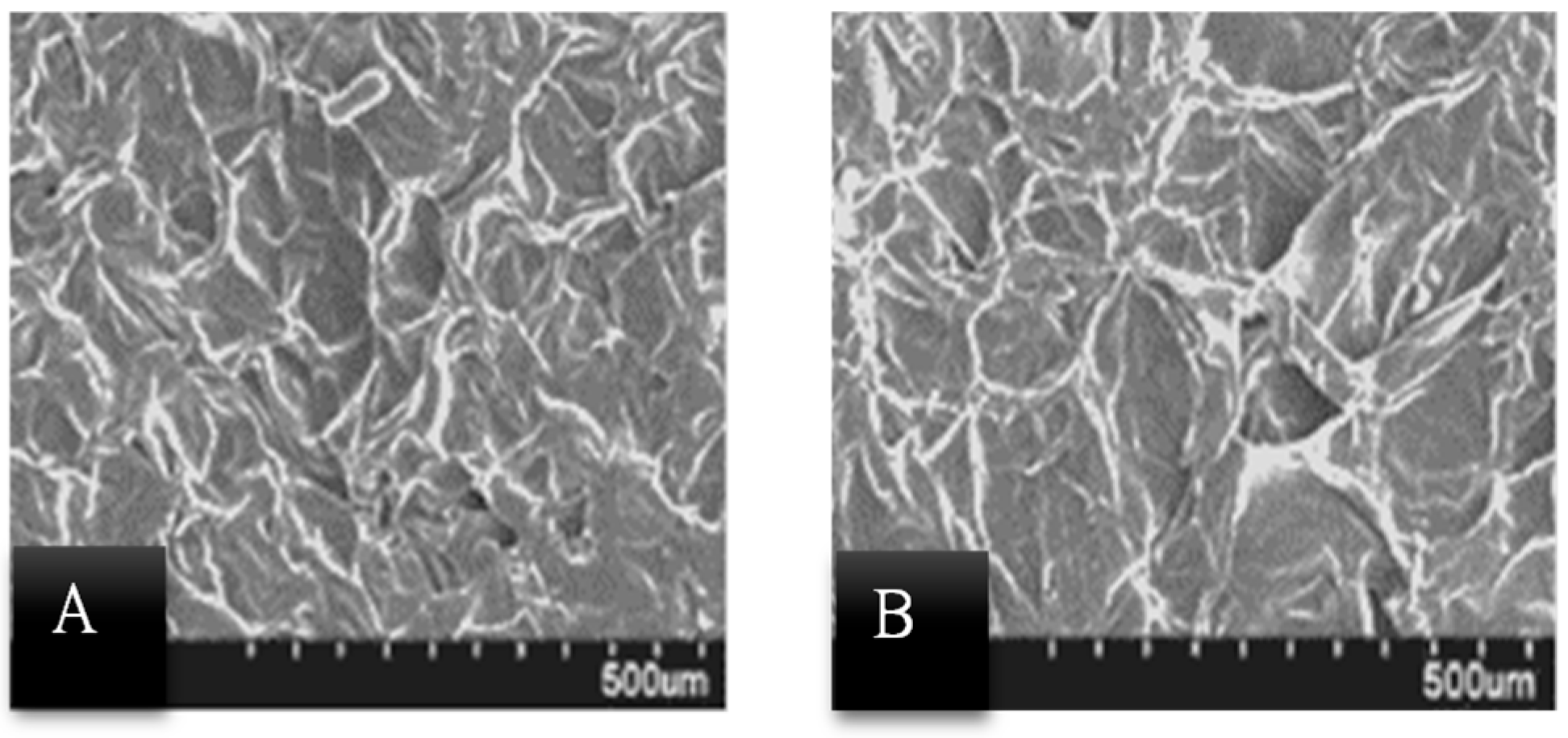 Ethanol Pretreatment Before Air Drying of Beetroot: Water Sorption ...