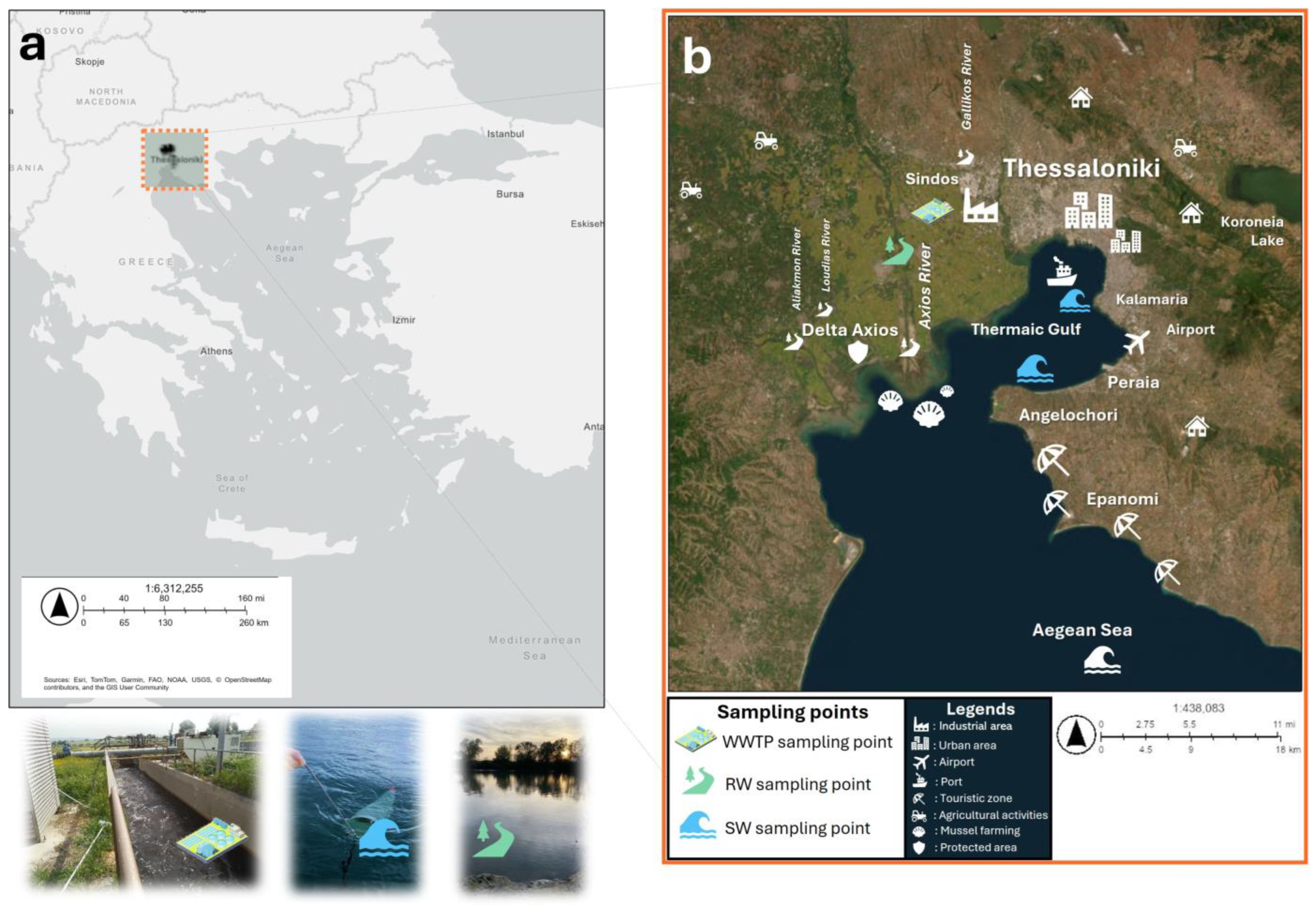 Microplastics Across Interconnected Aquatic Matrices: A Comparative ...