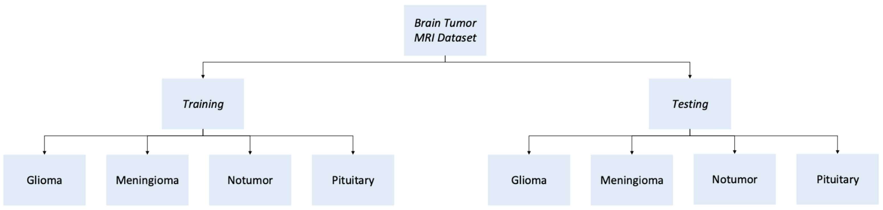 Deep Learning Approaches for Brain Tumor Classification in MRI Scans ...