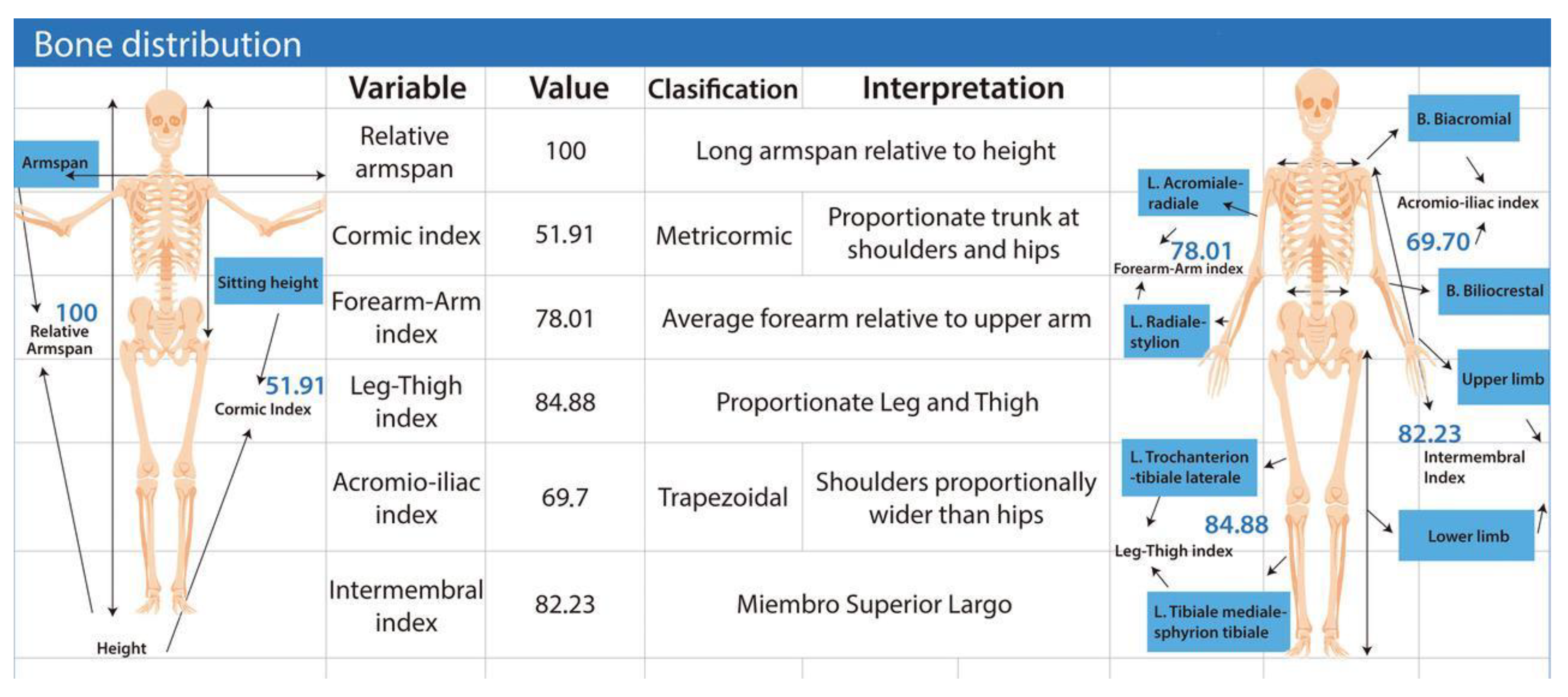 The Seven Methods for the Evaluation of Nutritional Status—ABCDEFG ...
