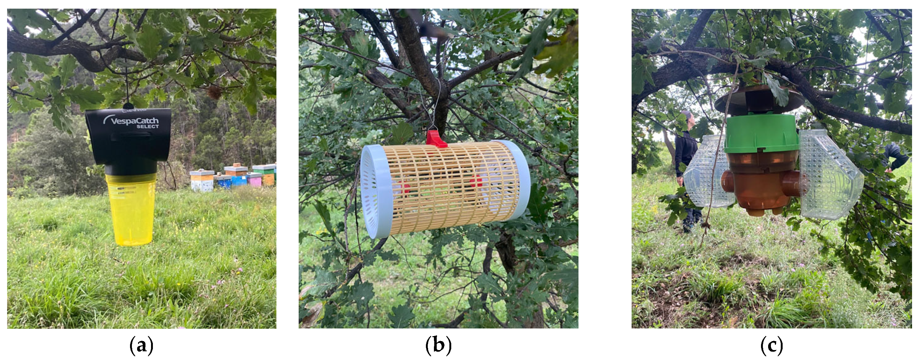Performances of Selective Mechanical Traps for Autumn Control of the ...