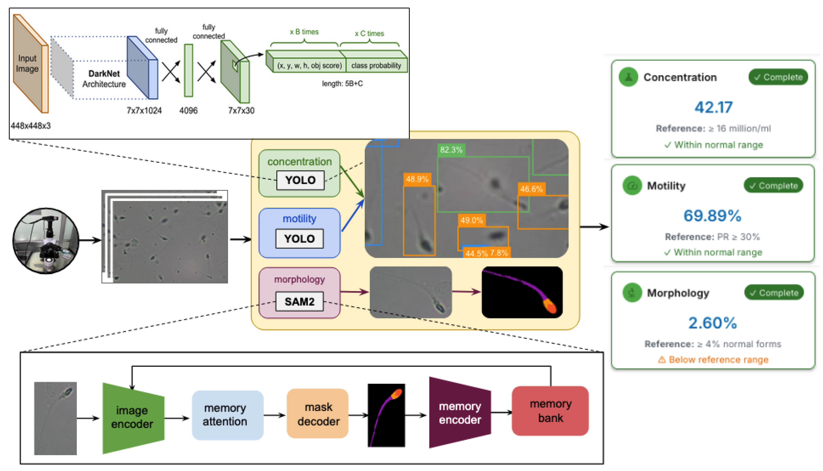 AI-Powered Fertility Insights: An Automated Human Sperm Analysis via ...