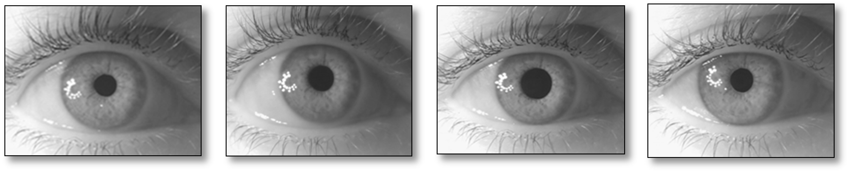 Automated Pupil Dilation Tracking System Using Computer Vision for Task ...