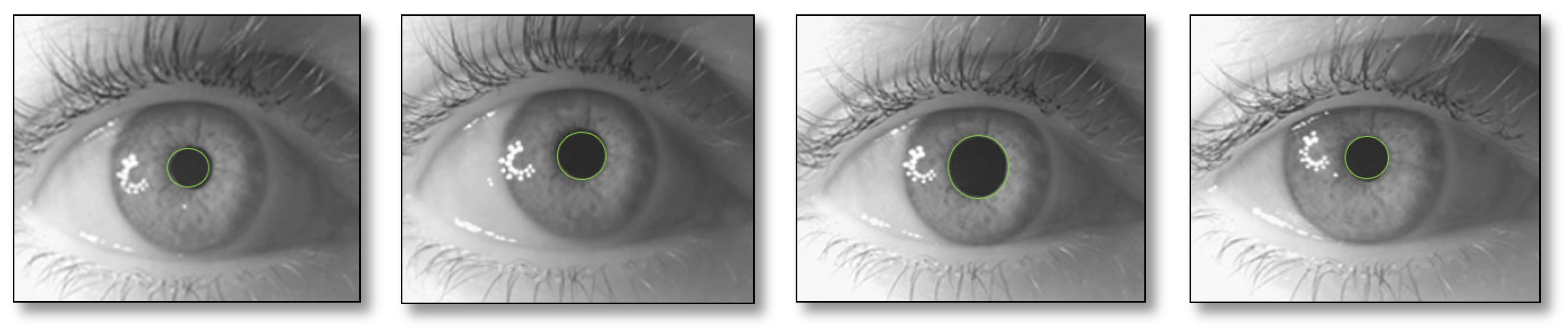 Automated Pupil Dilation Tracking System Using Computer Vision for Task ...