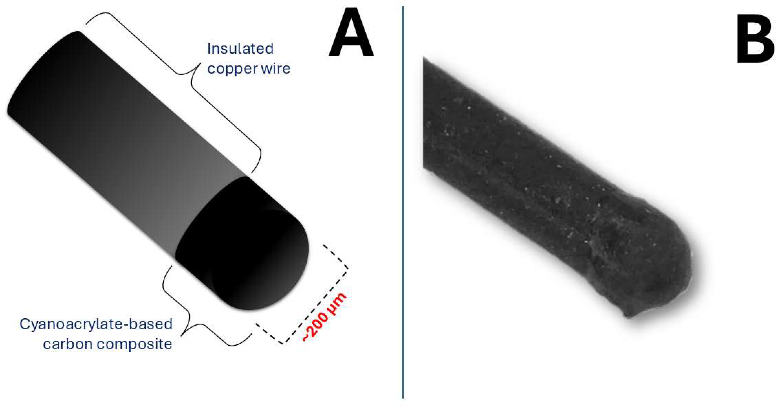 Ethyl 2-Cyanoacrylate as a Promising Matrix for Carbon Nanomaterial ...