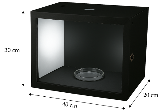Bacterial Colony Counting and Classification System Based on Deep ...