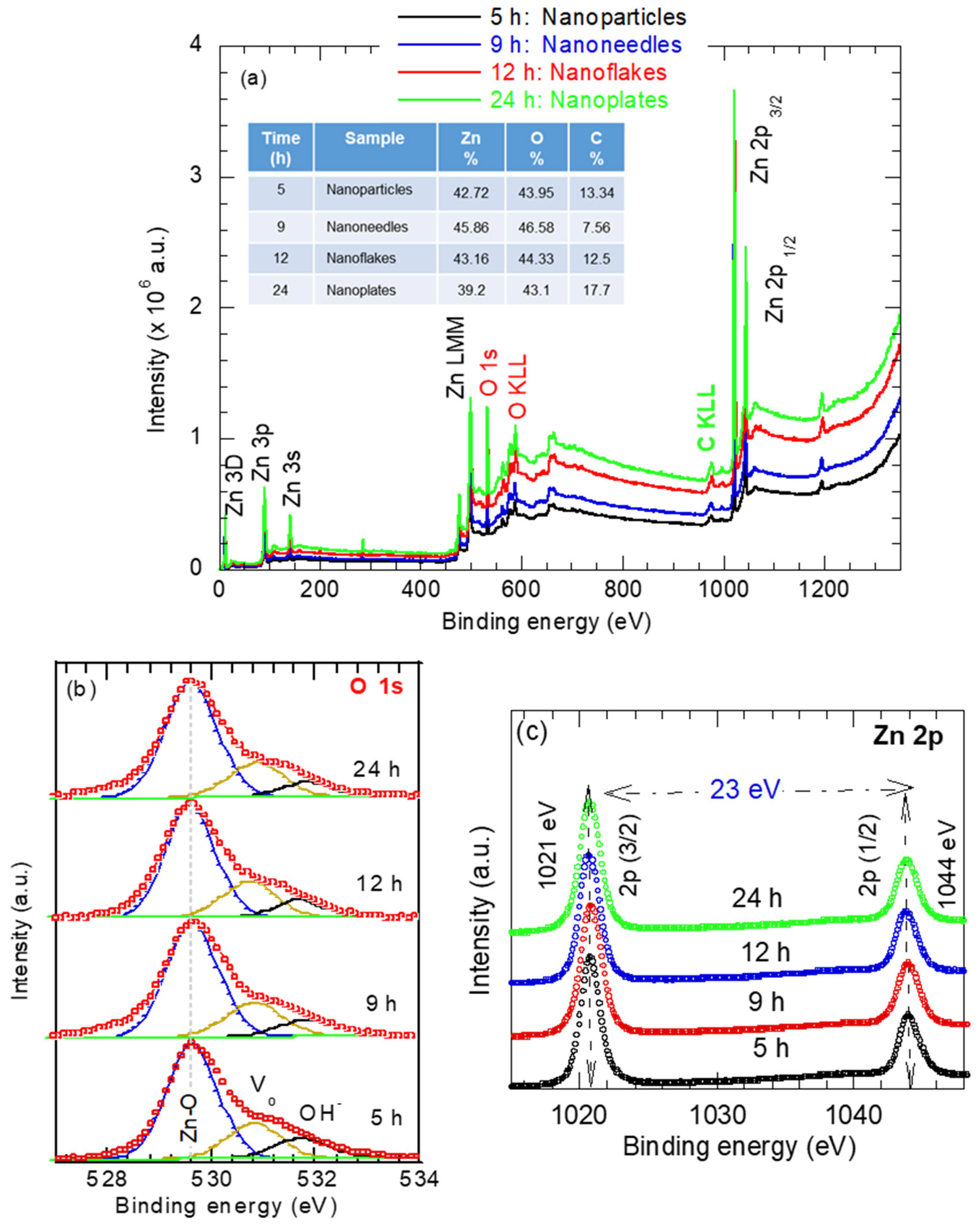Effect of Hydrothermal Reaction Time on the Morphological and ...