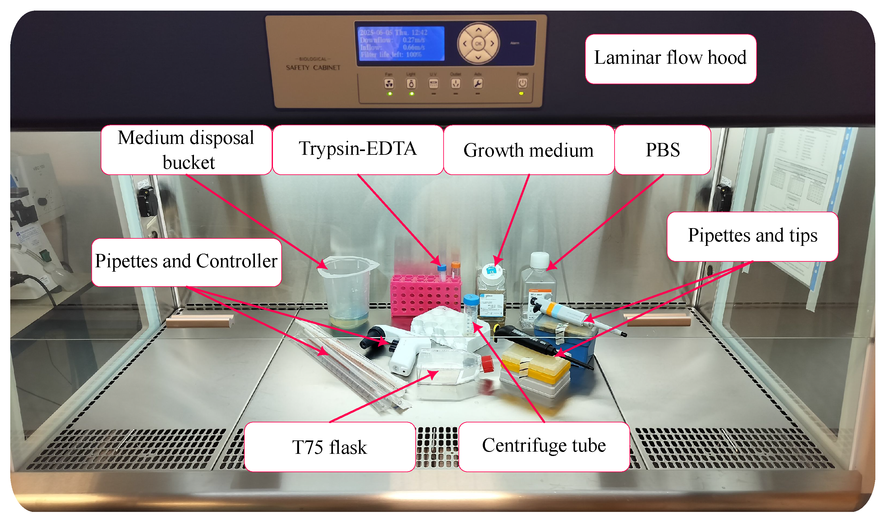 Systematic In Vitro Investigation of PEFs Pulse Parameter ...