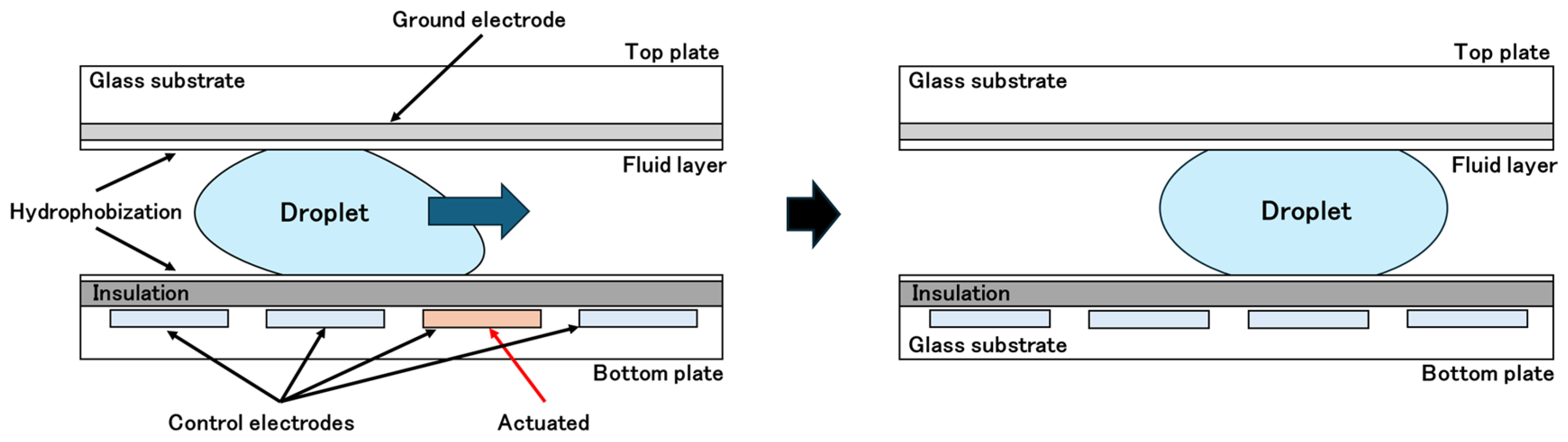 Accelerated Droplet Routing on MEDA Biochips Considering Shape ...