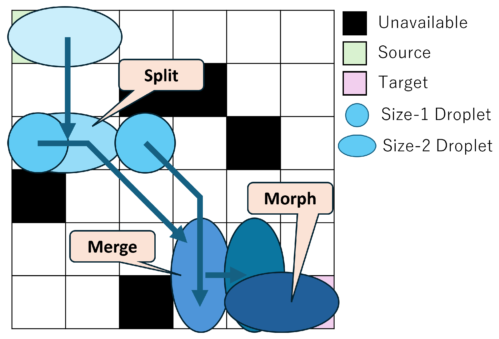 Accelerated Droplet Routing on MEDA Biochips Considering Shape ...