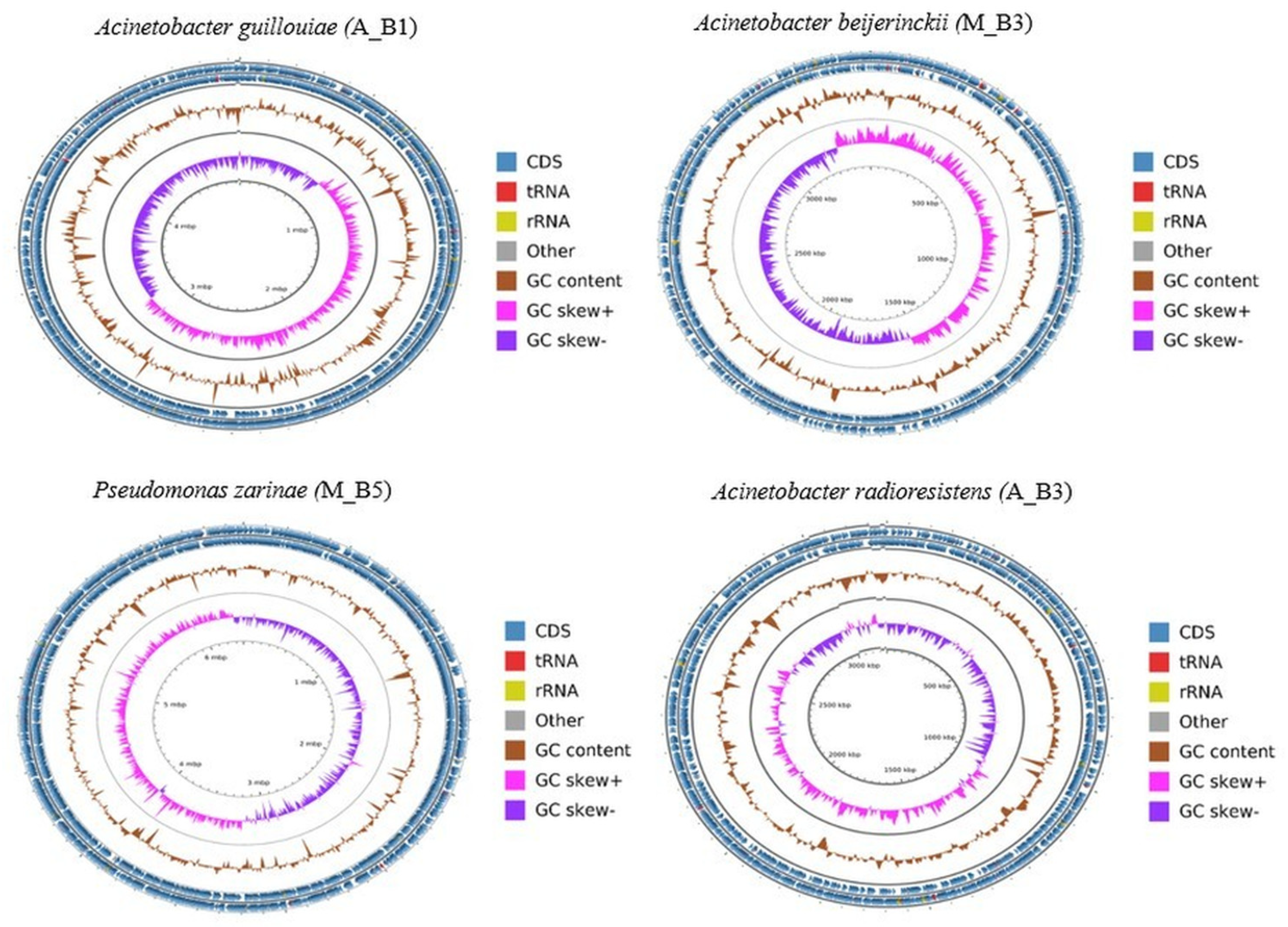 Site-Specific Hydrocarbon-Degrading Bacteria Consortium Developed Using ...