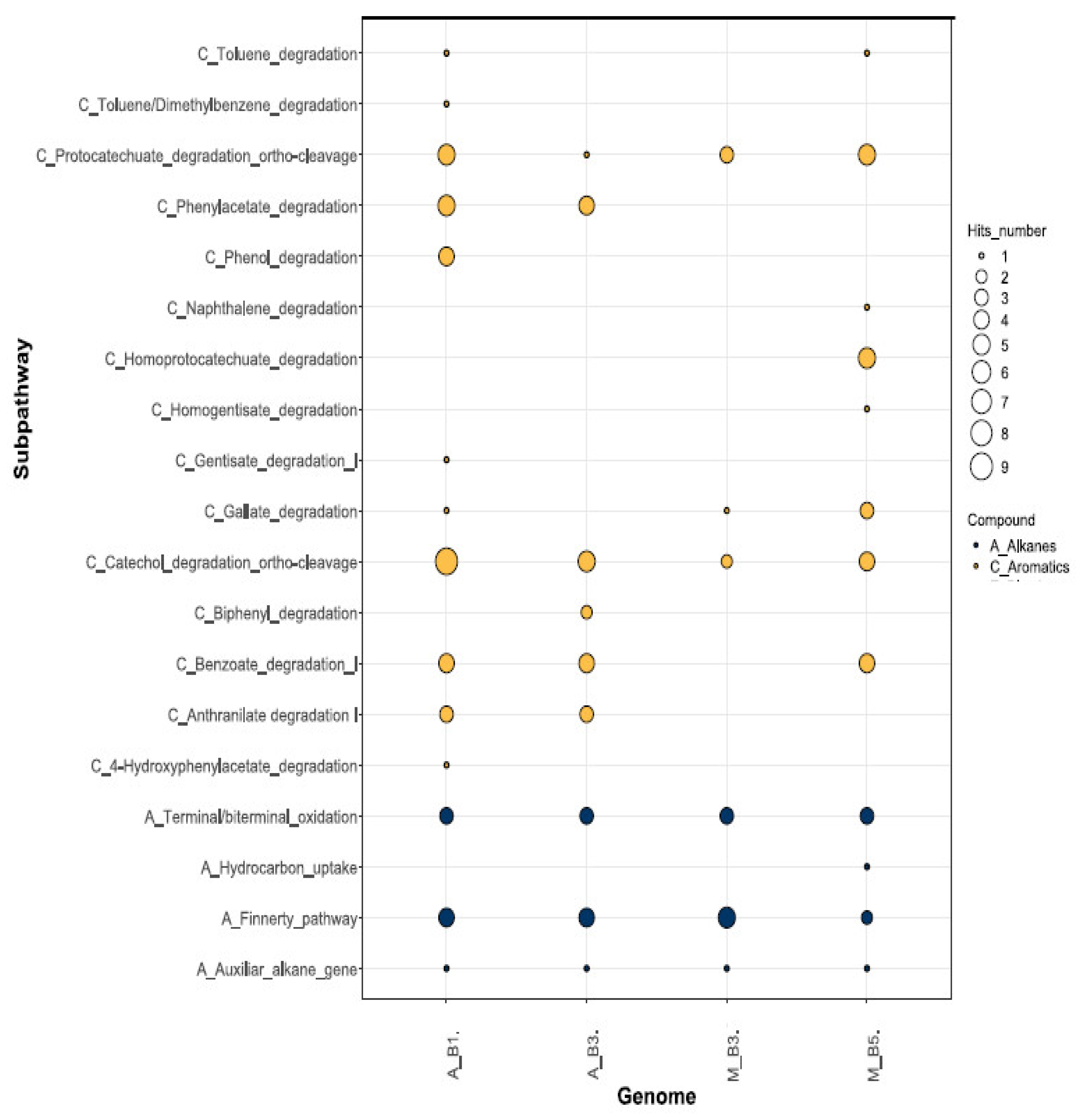 Site-Specific Hydrocarbon-Degrading Bacteria Consortium Developed Using ...