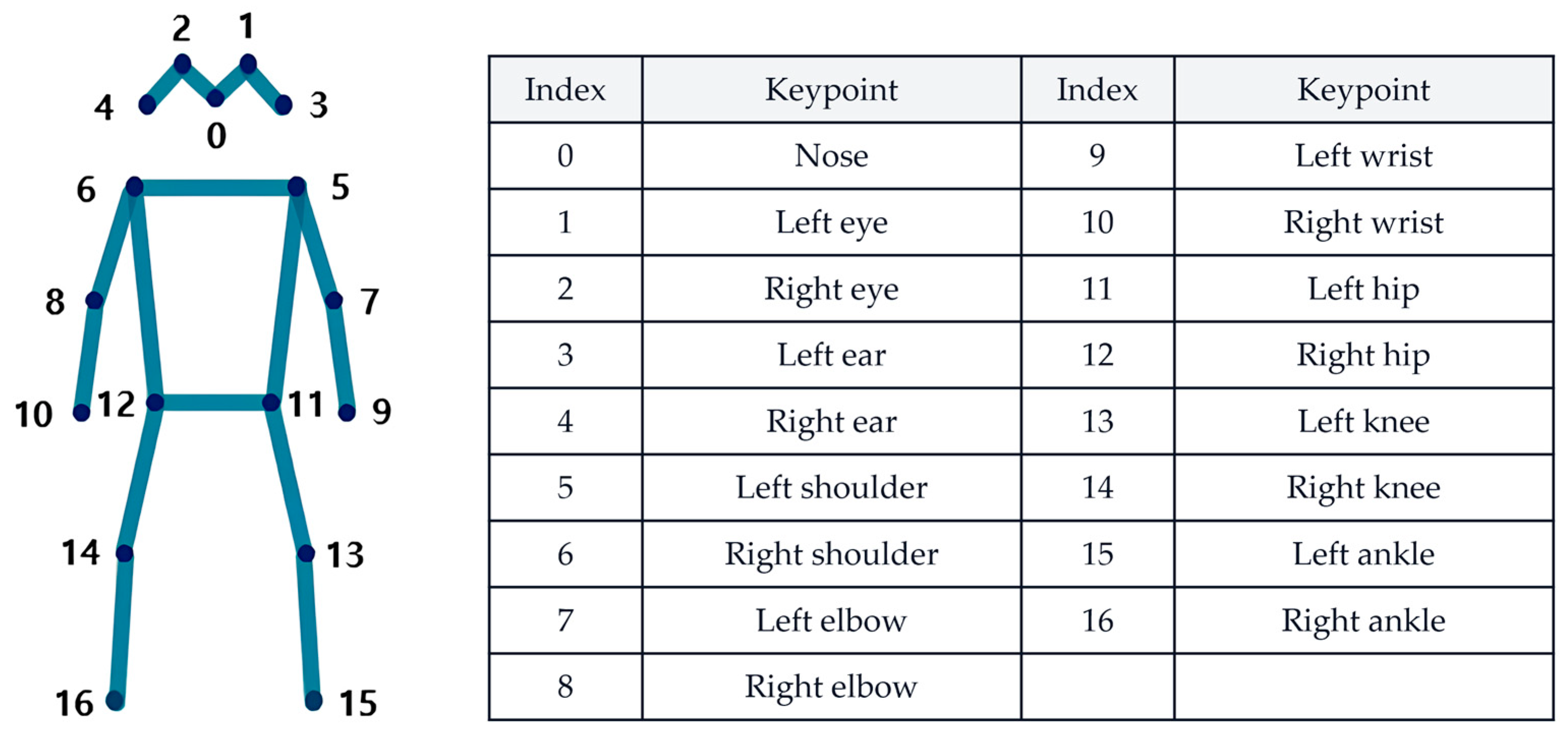Condition-Wise Robustness of Skeleton-Based Gait Sex Classification ...