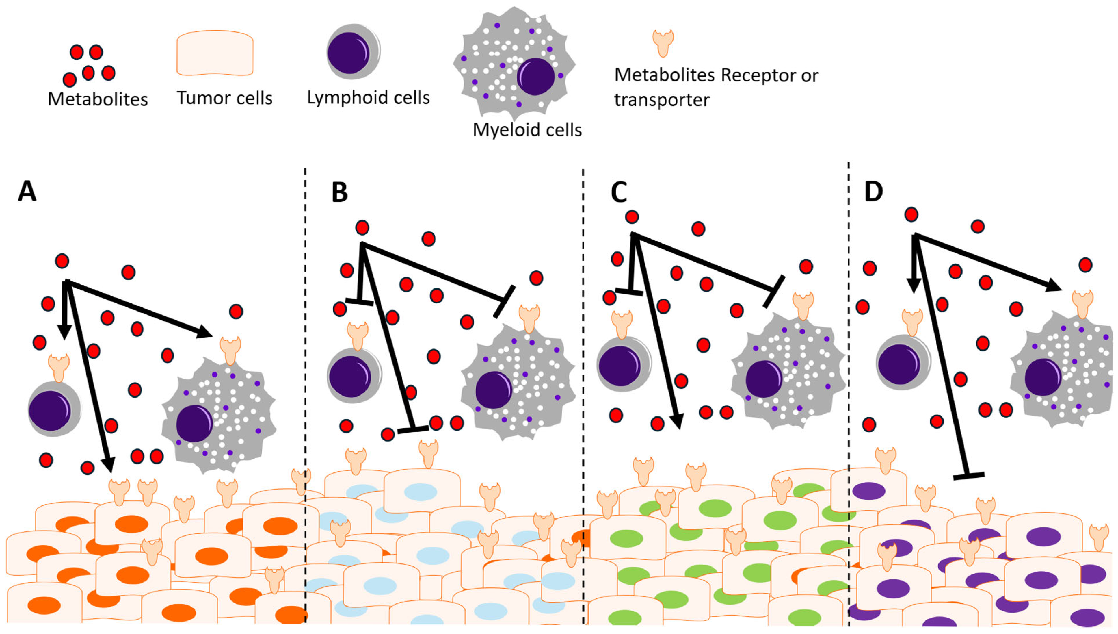 Molecular Targets for Cancer Immunotherapy: Focusing on (Immune and ...