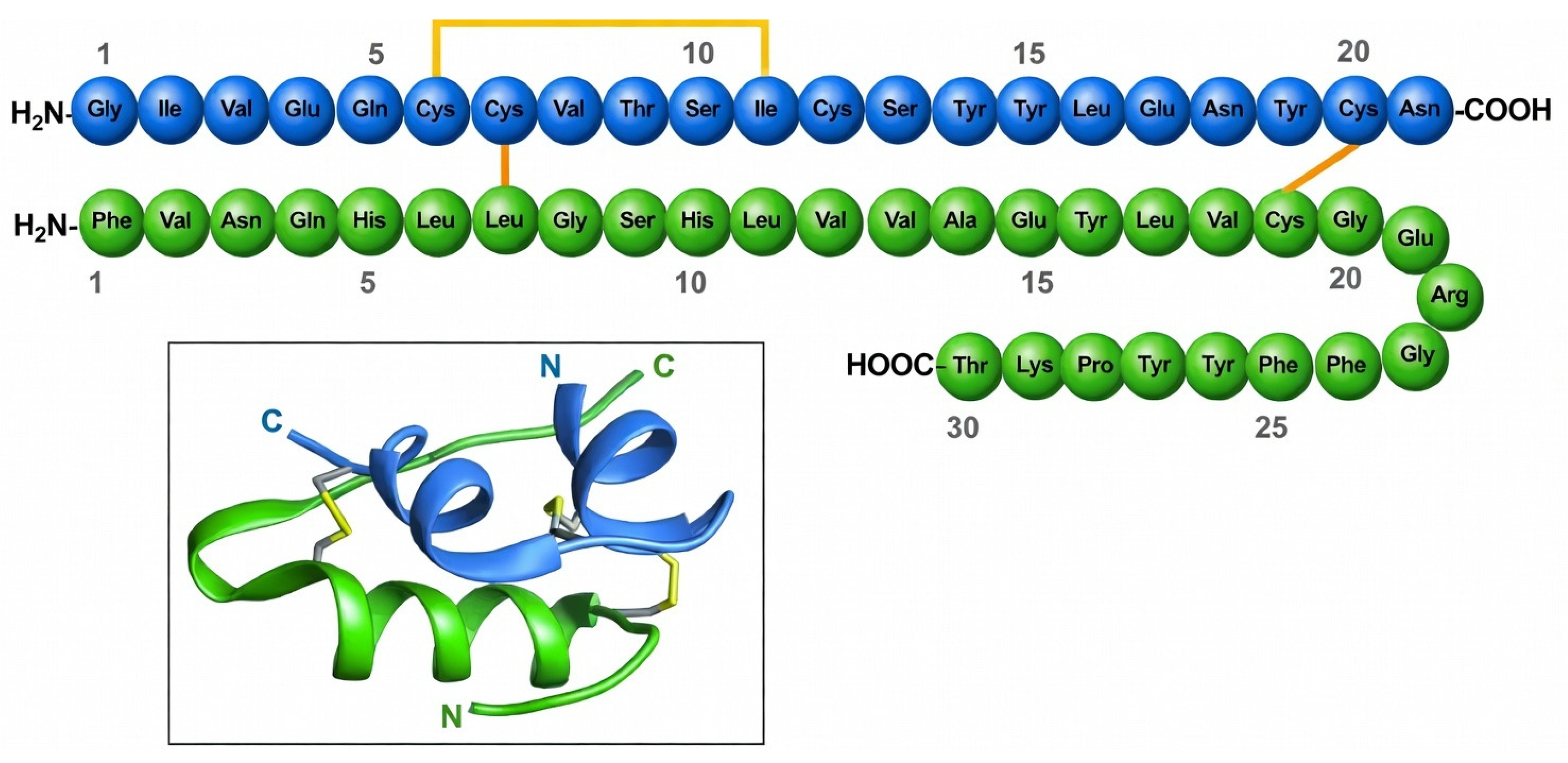 Radiofrequency-Induced Disassembly of Insulin Fibrillar Structures ...