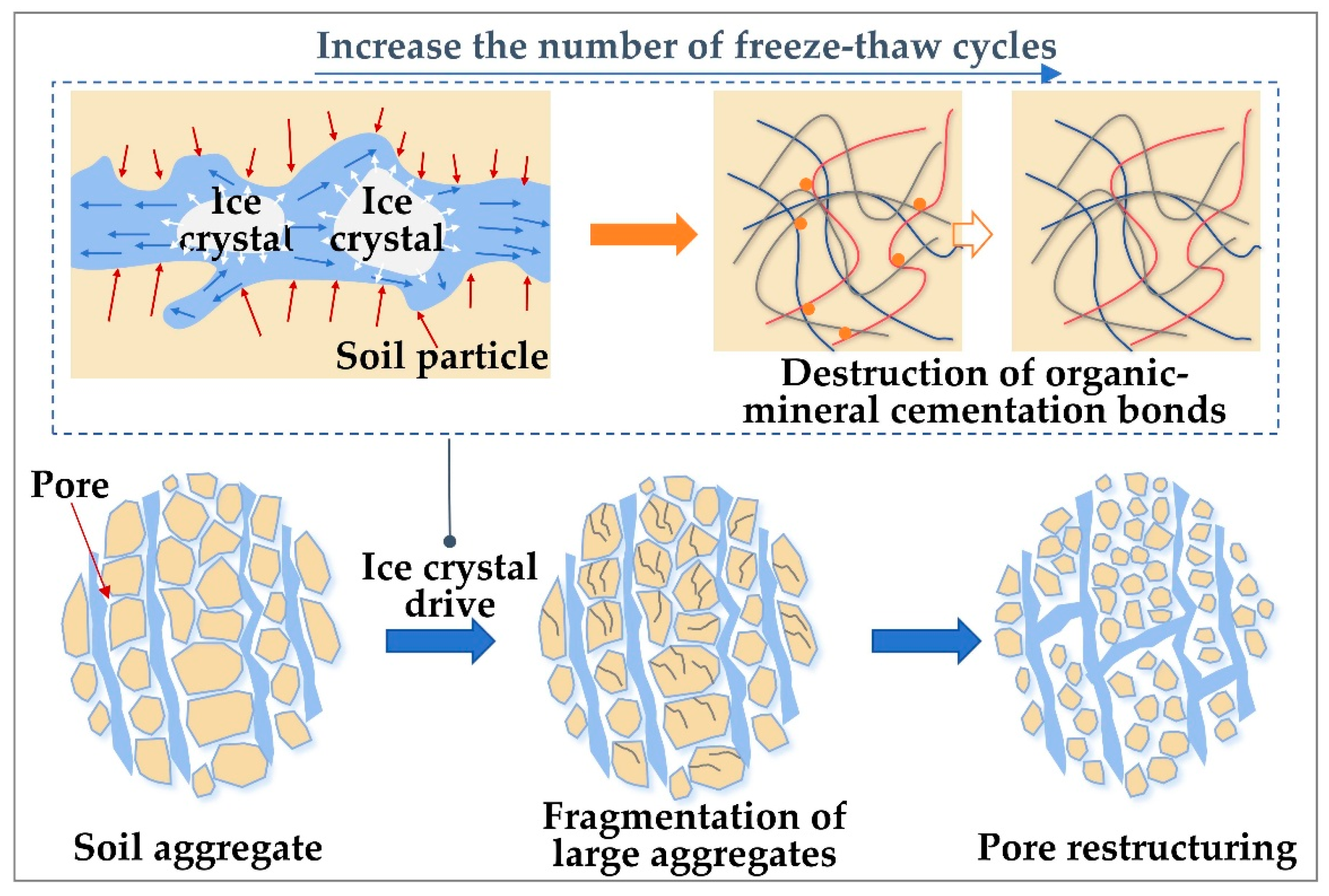 Study On The Mechanism Of Freeze Thaw Cycling Effects On Soil Aggregate