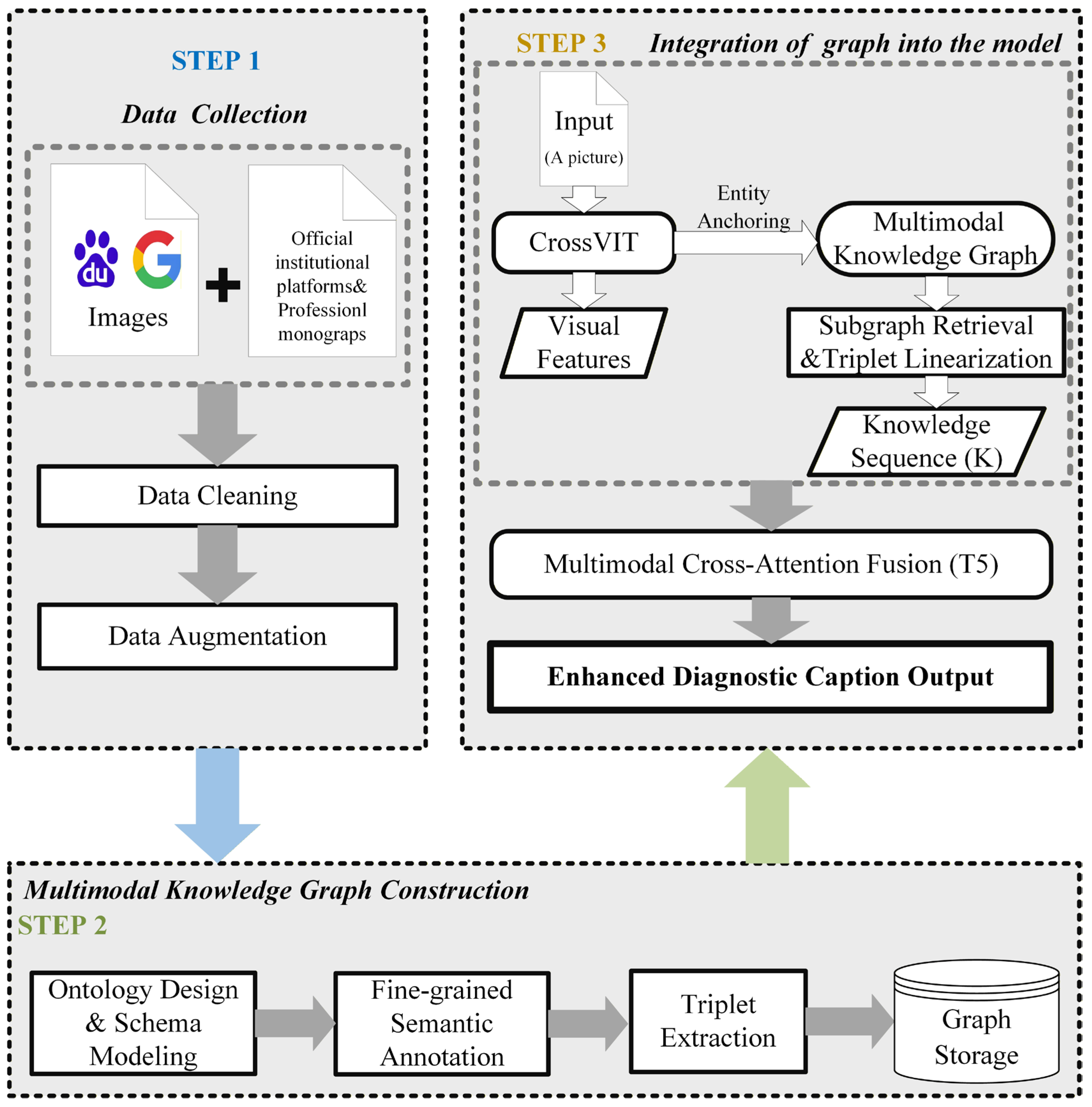 MKG-CottonCapT6: A Multimodal Knowledge Graph-Enhanced Image Captioning ...