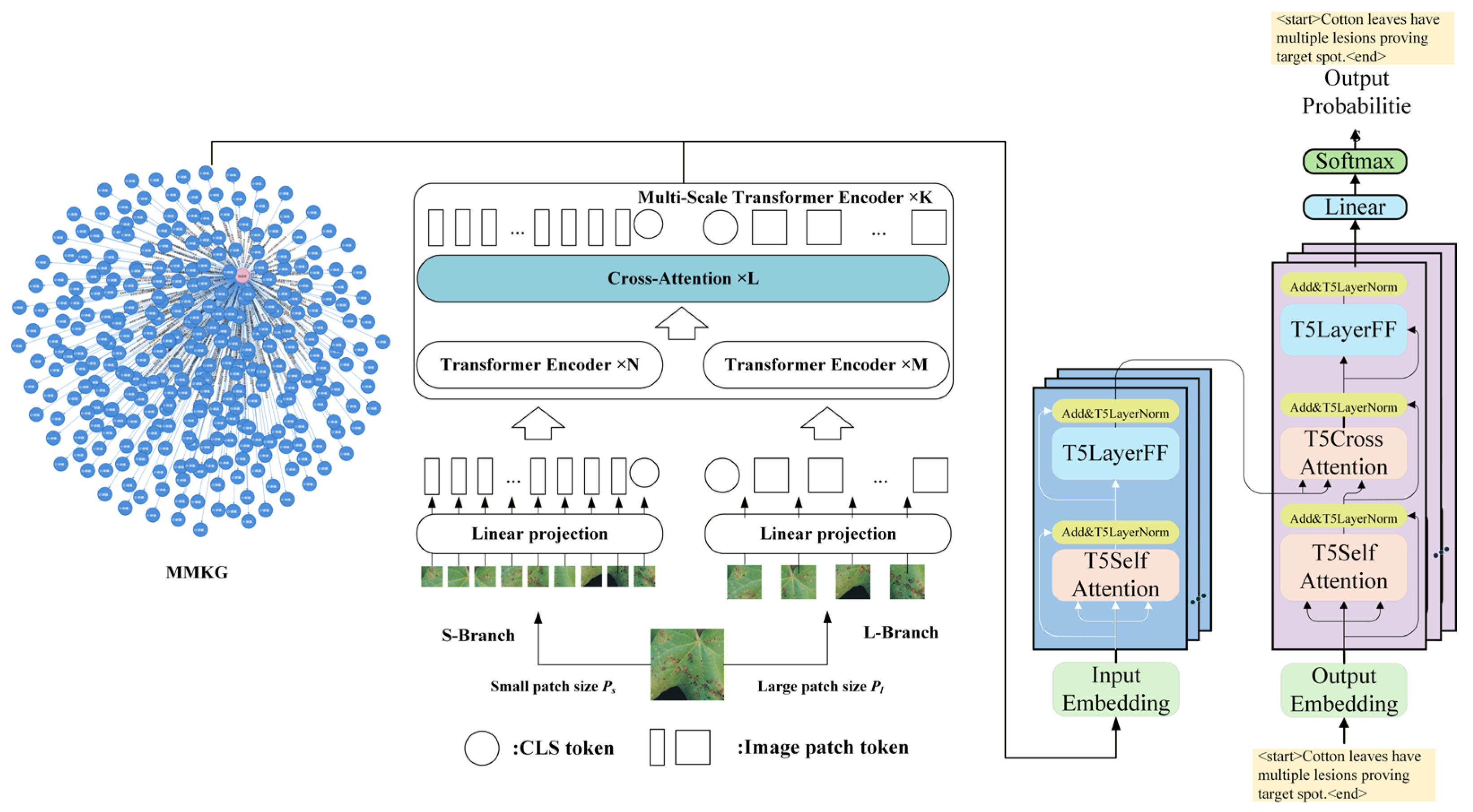 MKG-CottonCapT6: A Multimodal Knowledge Graph-Enhanced Image Captioning ...