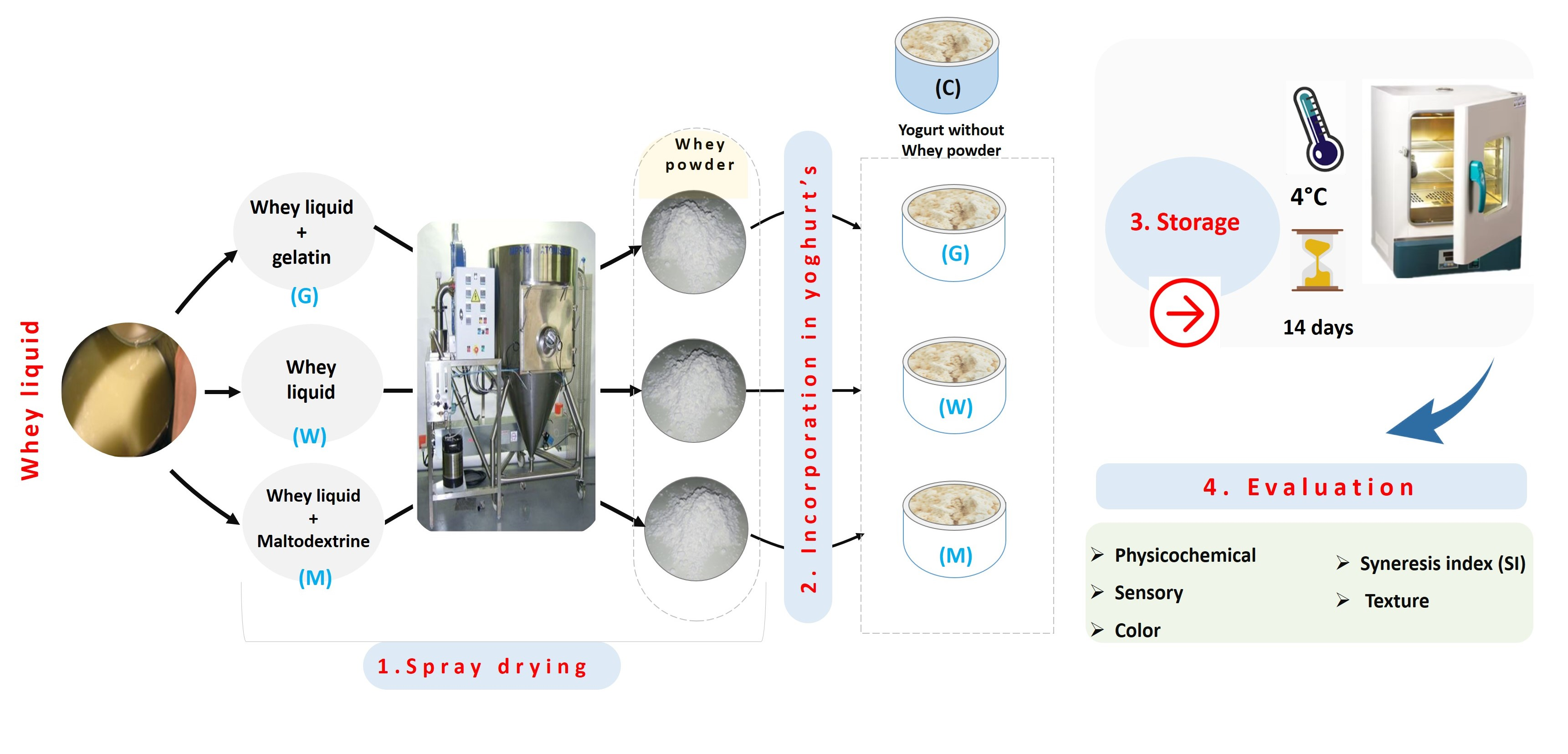 Impact of the Drying Agents Maltodextrin and Gelatin Used in Whey ...