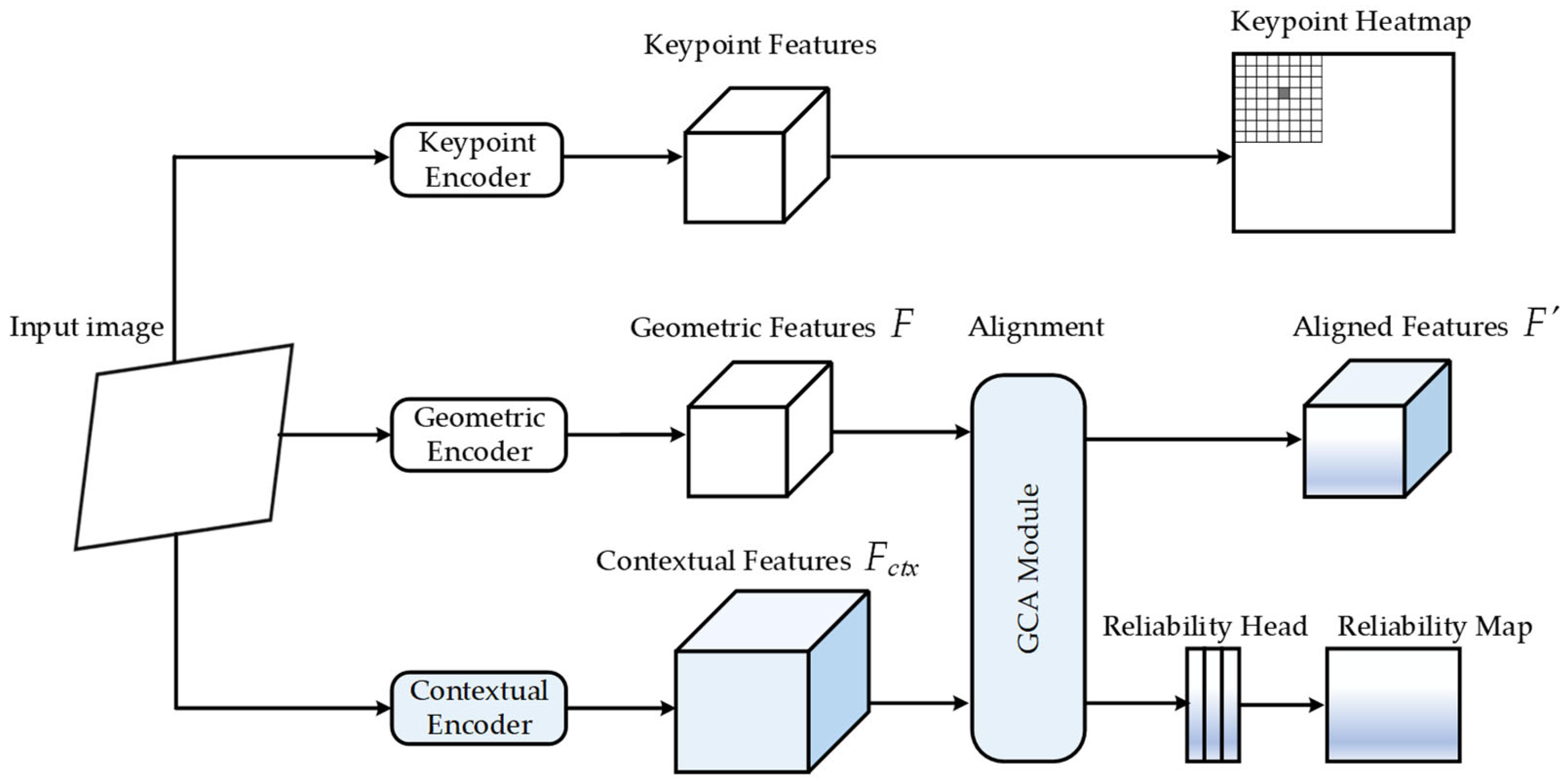 GCA-Net: Geometric-Contextual Alignment Network for Lightweight and ...