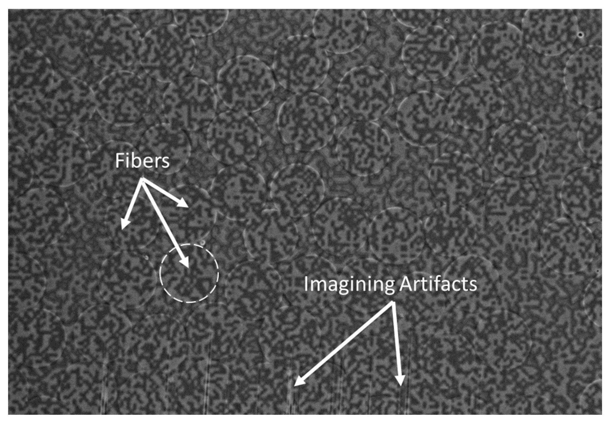 Towards the Development of Multiscale Digital Twins for Fiber ...