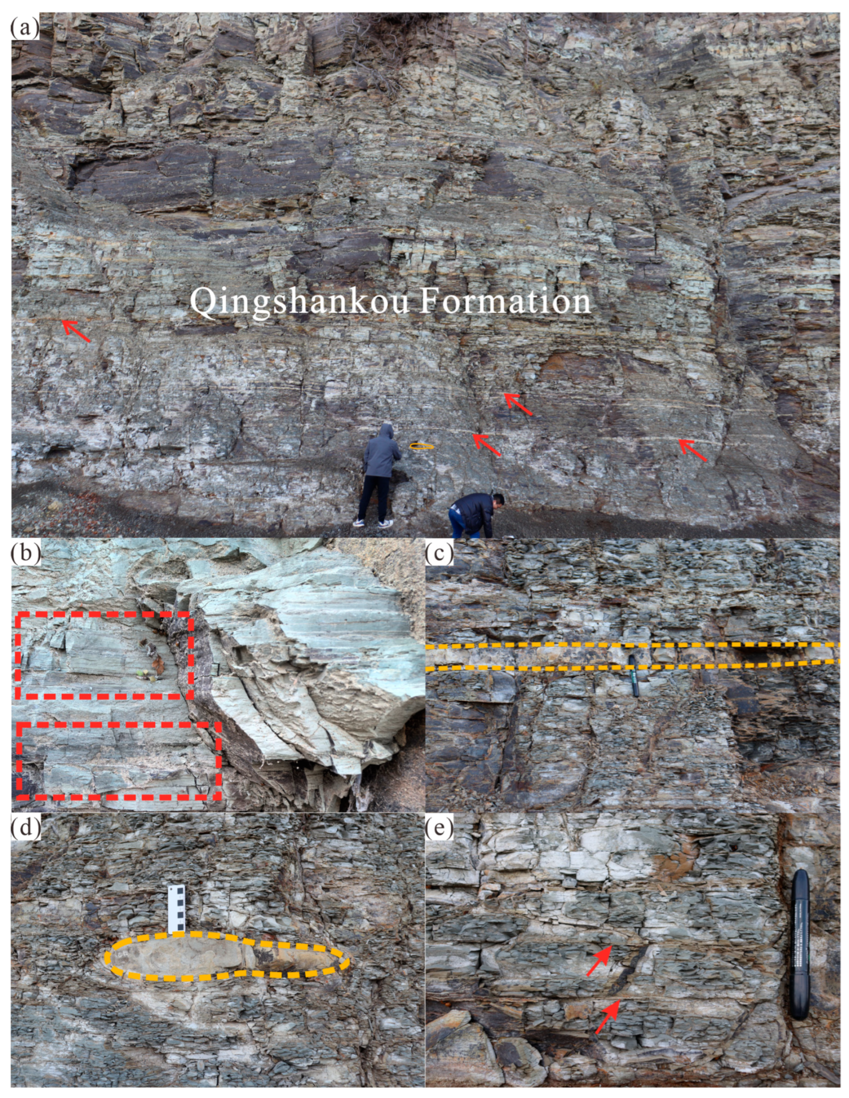Geochemical Characteristics and Paleoenvironmental Reconstruction of ...