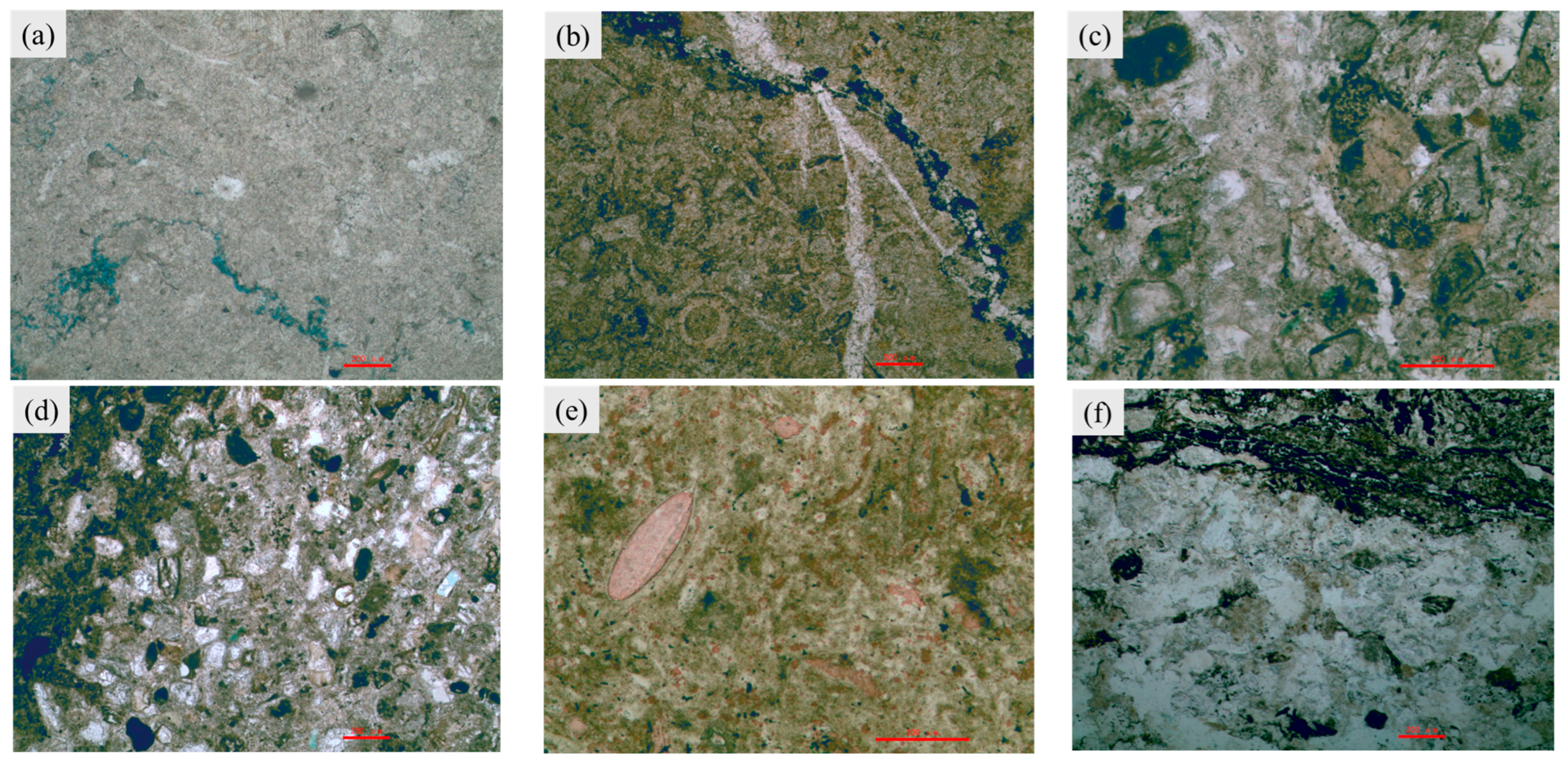 Pore Permeability Cycling Characteristics of Coal-Bearing Strata in the ...