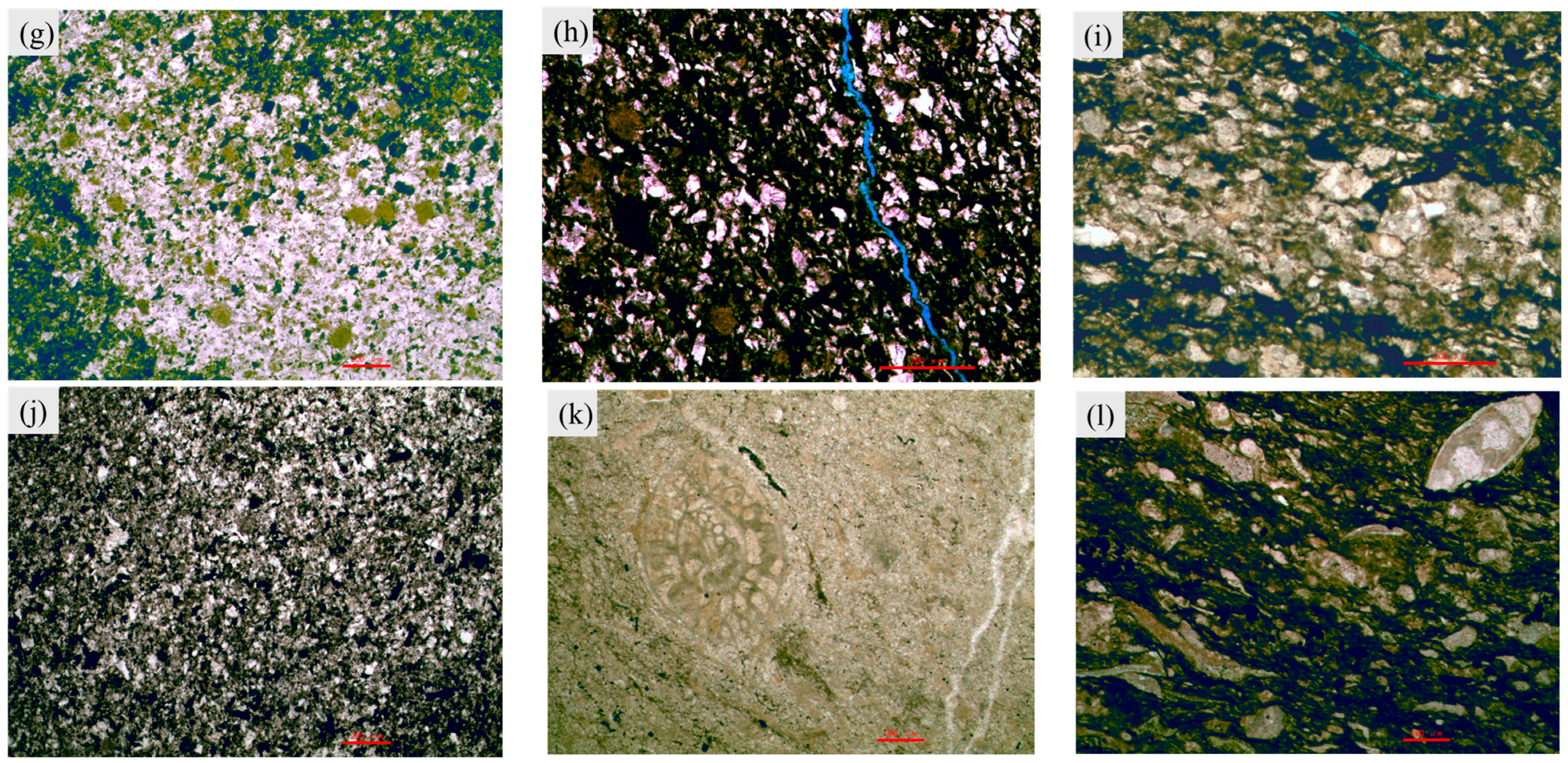 Pore Permeability Cycling Characteristics of Coal-Bearing Strata in the ...