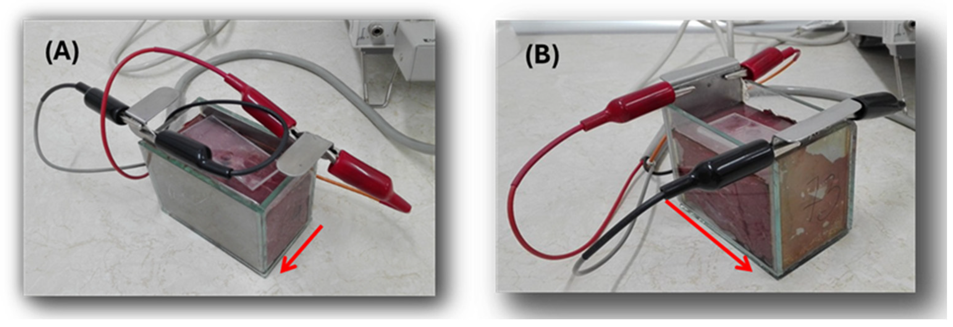 Assessment of the Potential Use of an Electrical Method for Evaluating ...