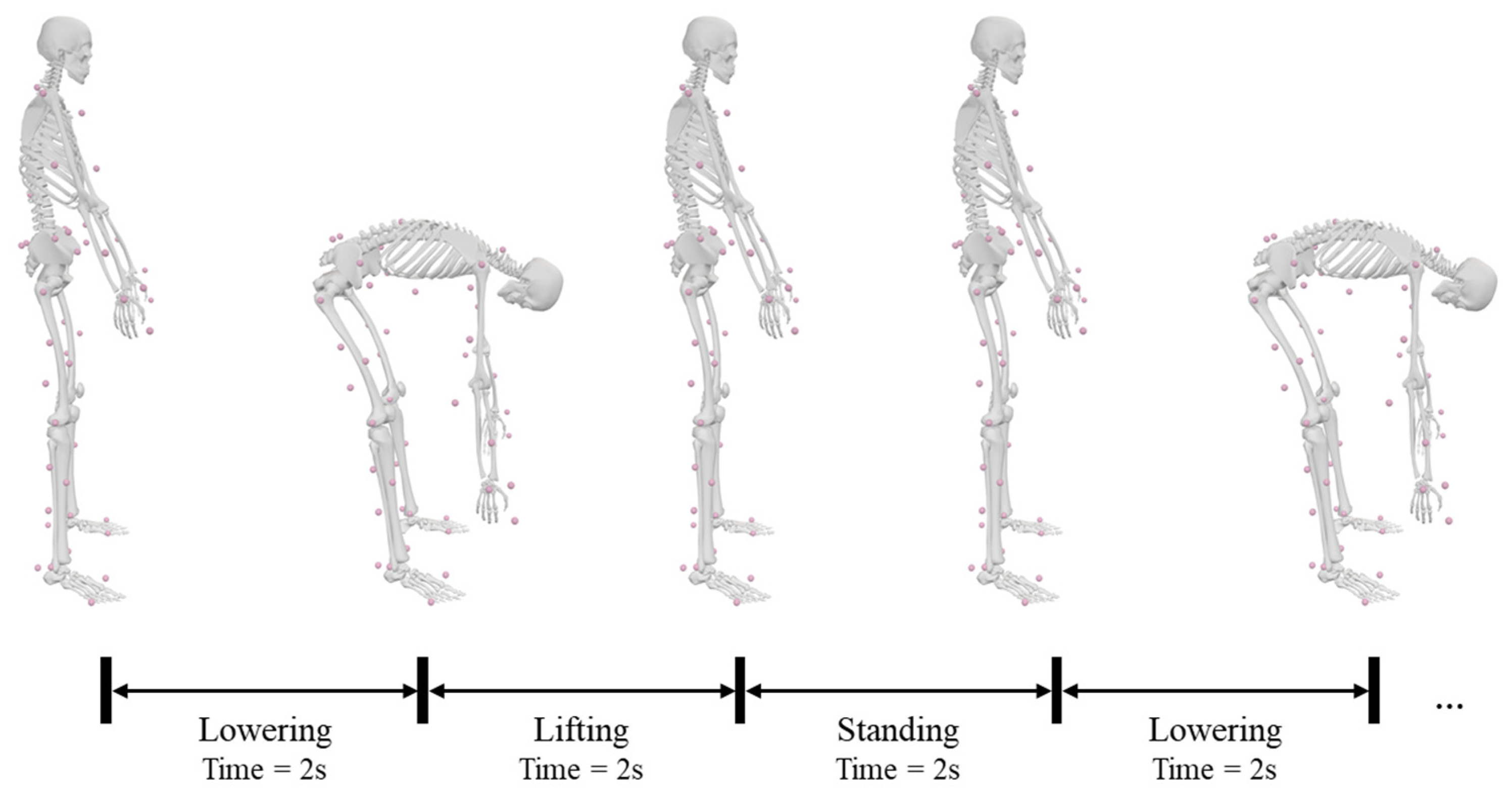 Evaluation of Lumbar Loads and Neuromuscular Responses with an ...