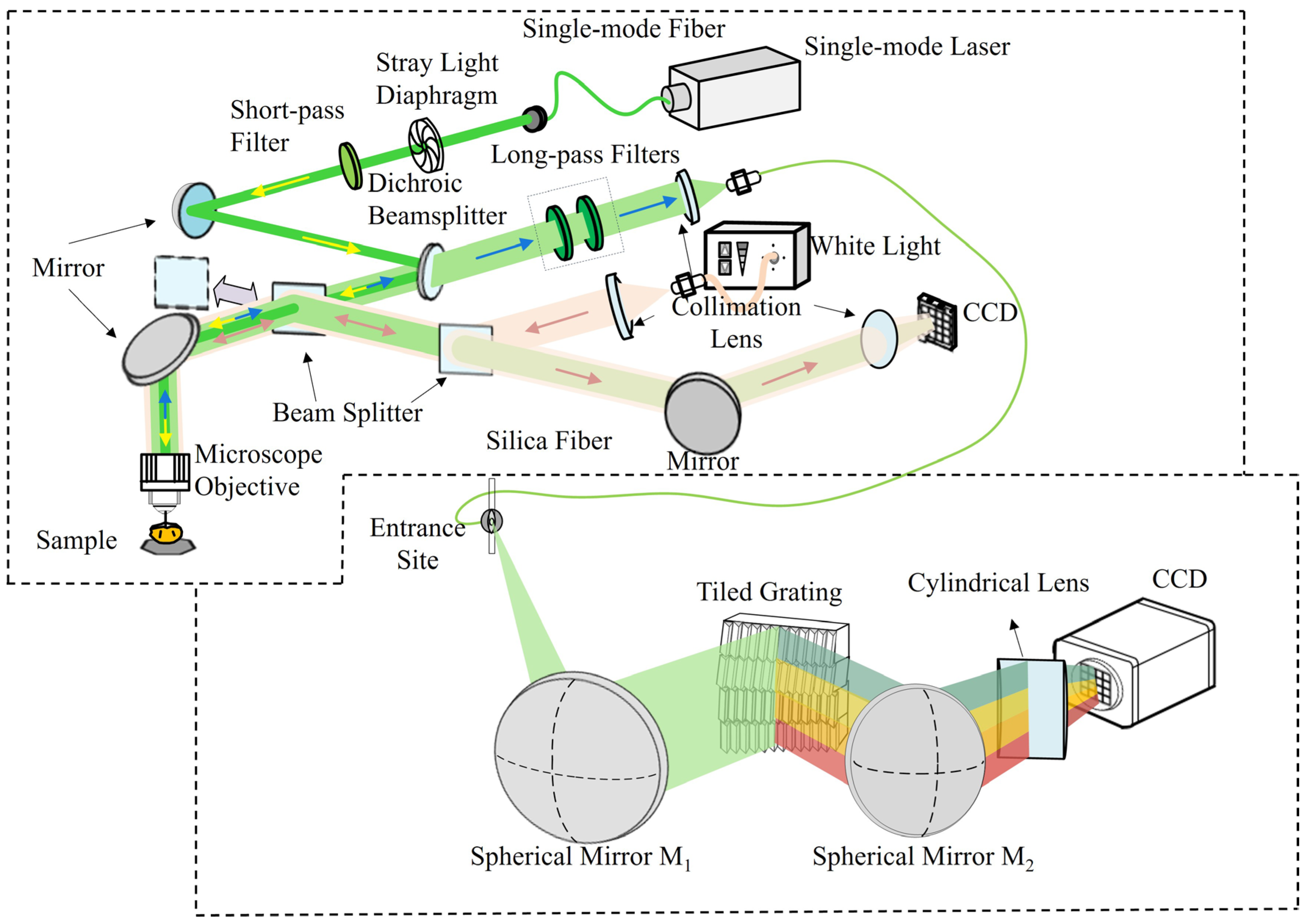 Broadband Micro-Confocal Raman Spectrometer Using Four Tiled Sub ...