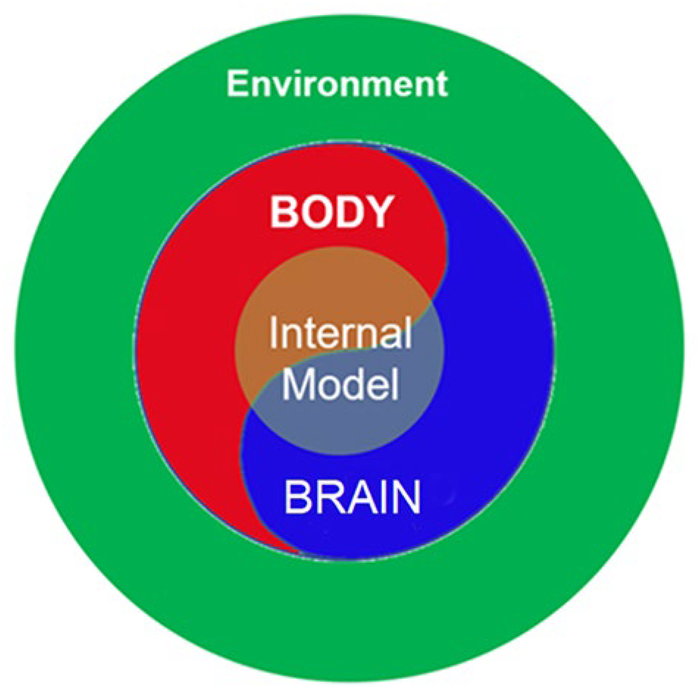 Cybernetics of Balance Control