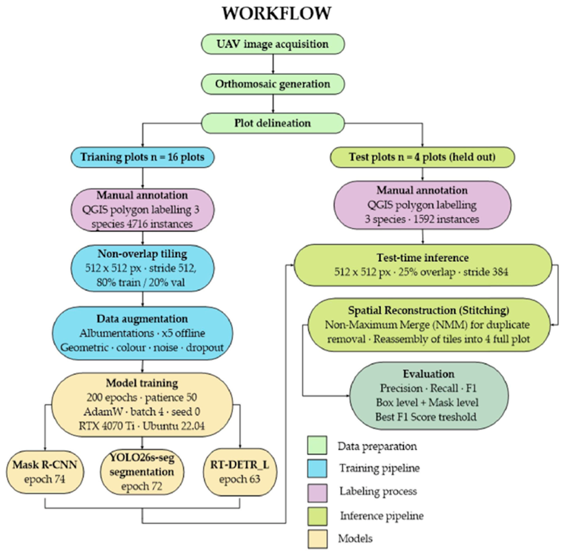 Comparison of Deep Learning Models for Weed Detection and ...
