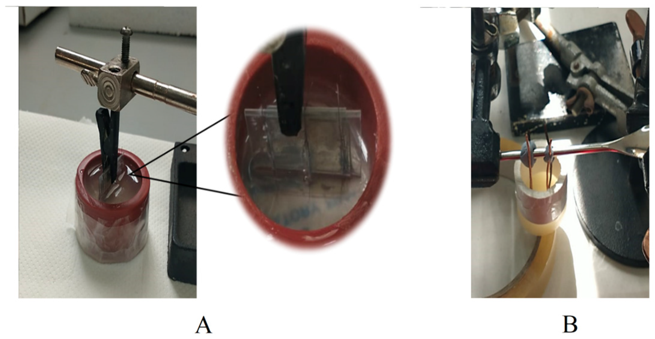 On the Application of Scanning Electrochemical Probe Microscopies to ...