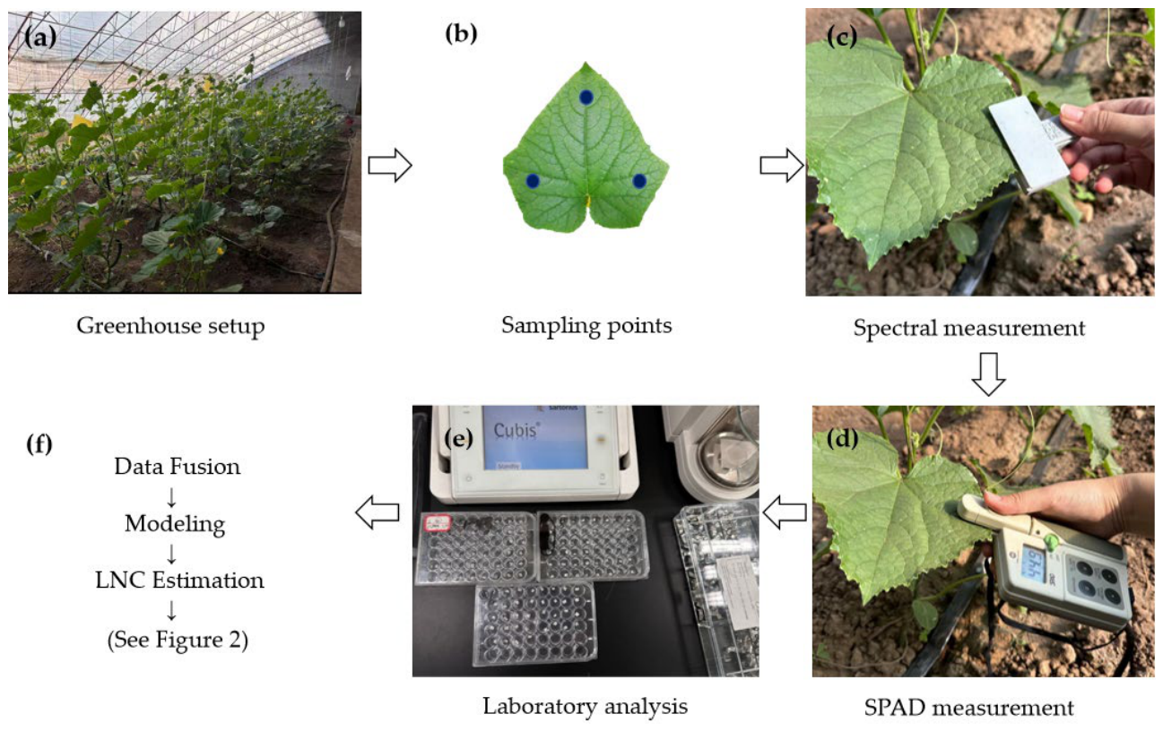 Machine Learning–Based Estimation of Leaf Nitrogen Content in ...