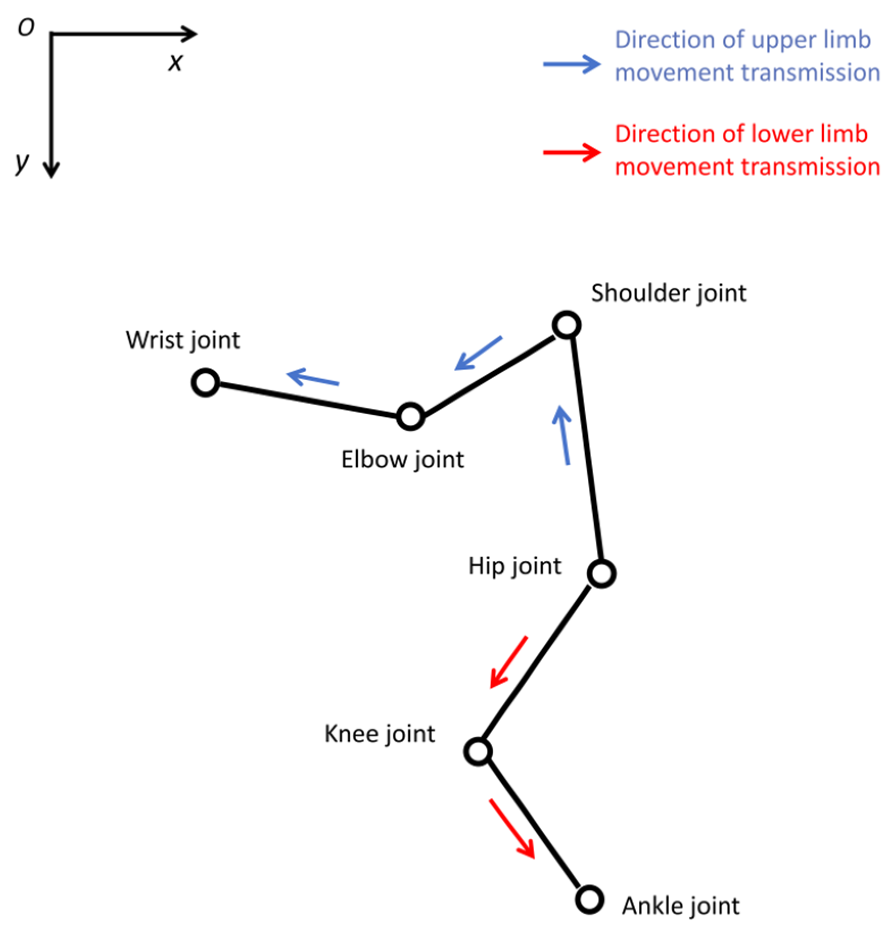 Action Quality Assessment Based on Kinematic Reconstruction and ...