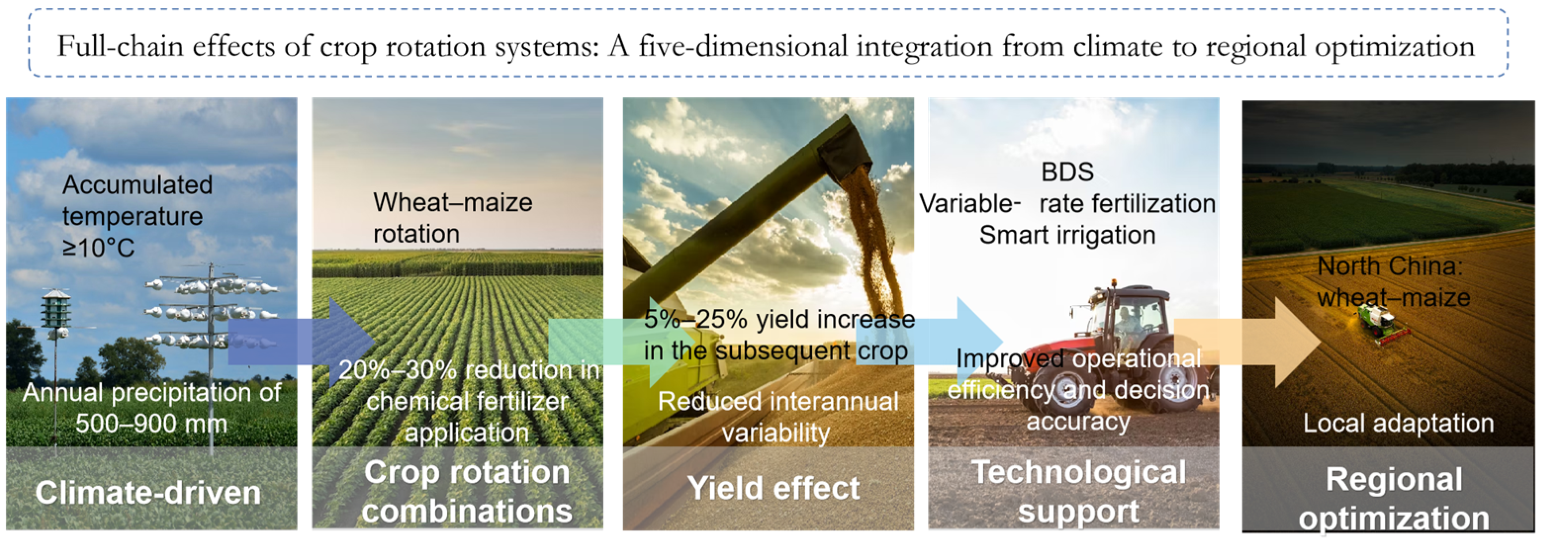 Crop Rotation for Sustainable Agriculture: Mechanisms, Technologies ...