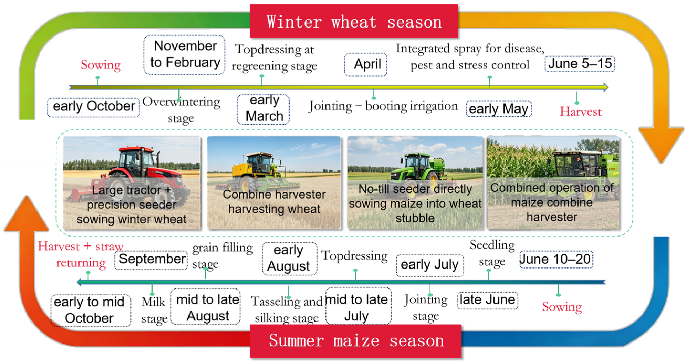 Crop Rotation for Sustainable Agriculture: Mechanisms, Technologies ...