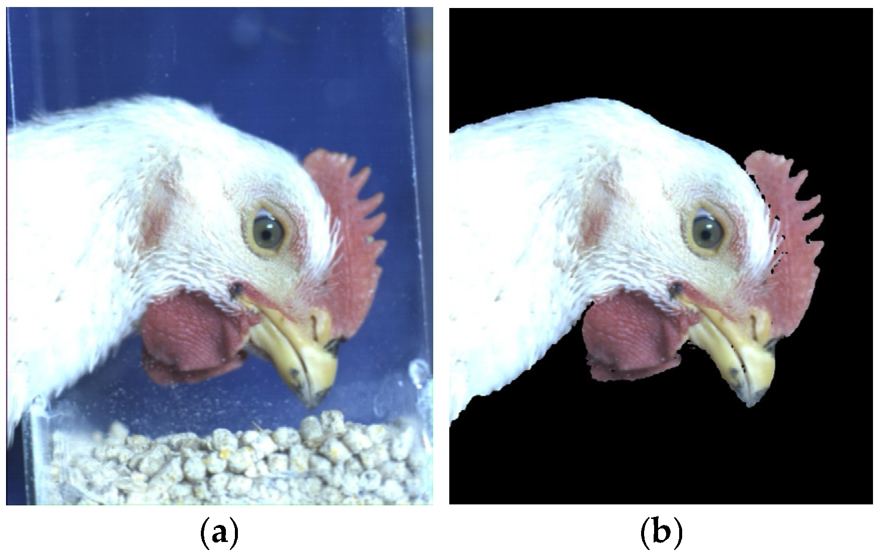 Smart Farming Innovation: Automated Biomechanical Monitoring of ...