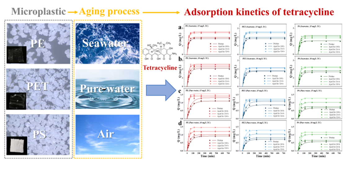 Evolution of Microplastic Properties and Tetracycline Adsorption During ...