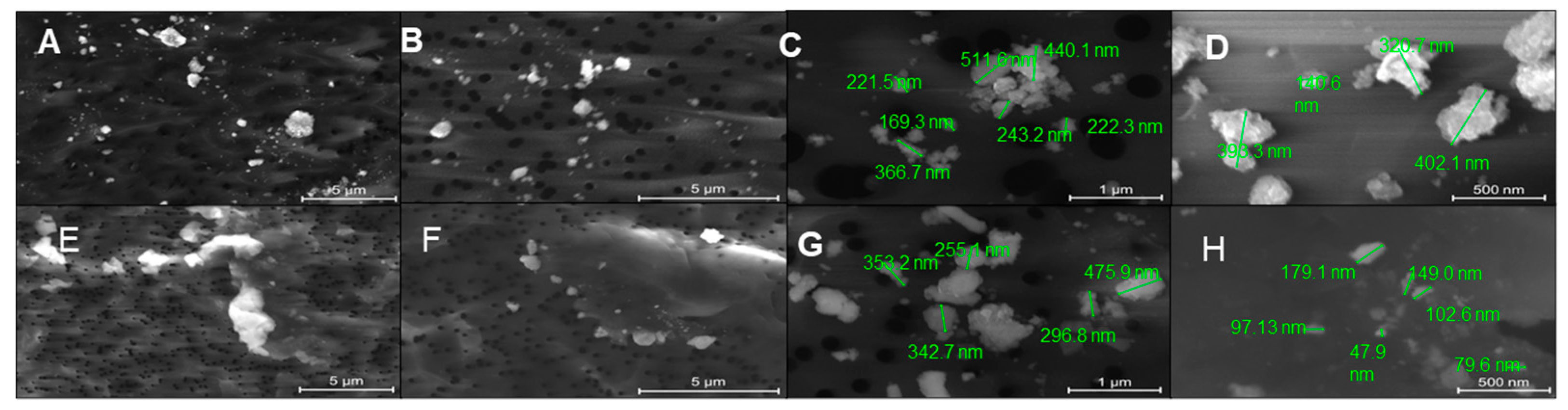Brake Particle PN and PM Emissions of Battery Electric Vehicles (BEVs ...