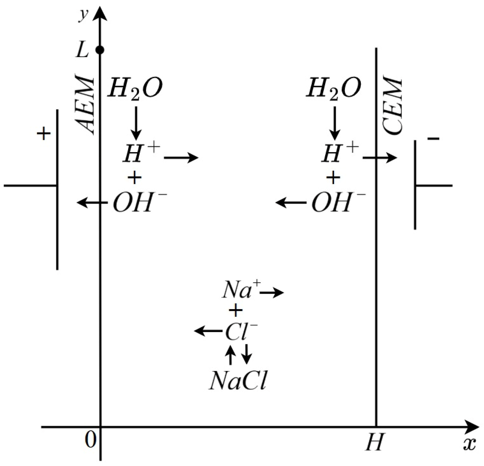 Mathematical Modeling of the Influence of Equilibrium Coefficient ...