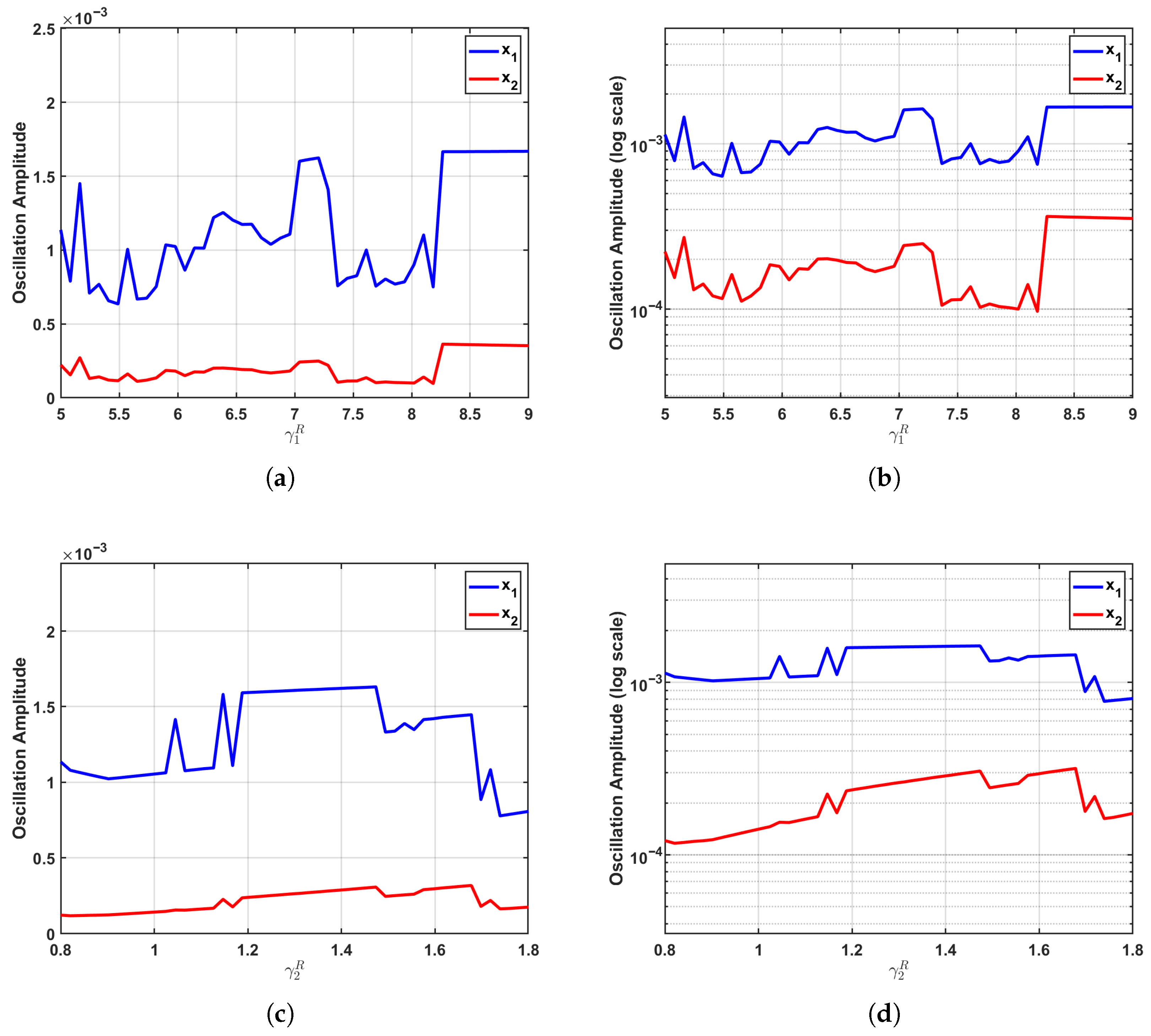Bifurcation Analysis in a Cross-Protection Model