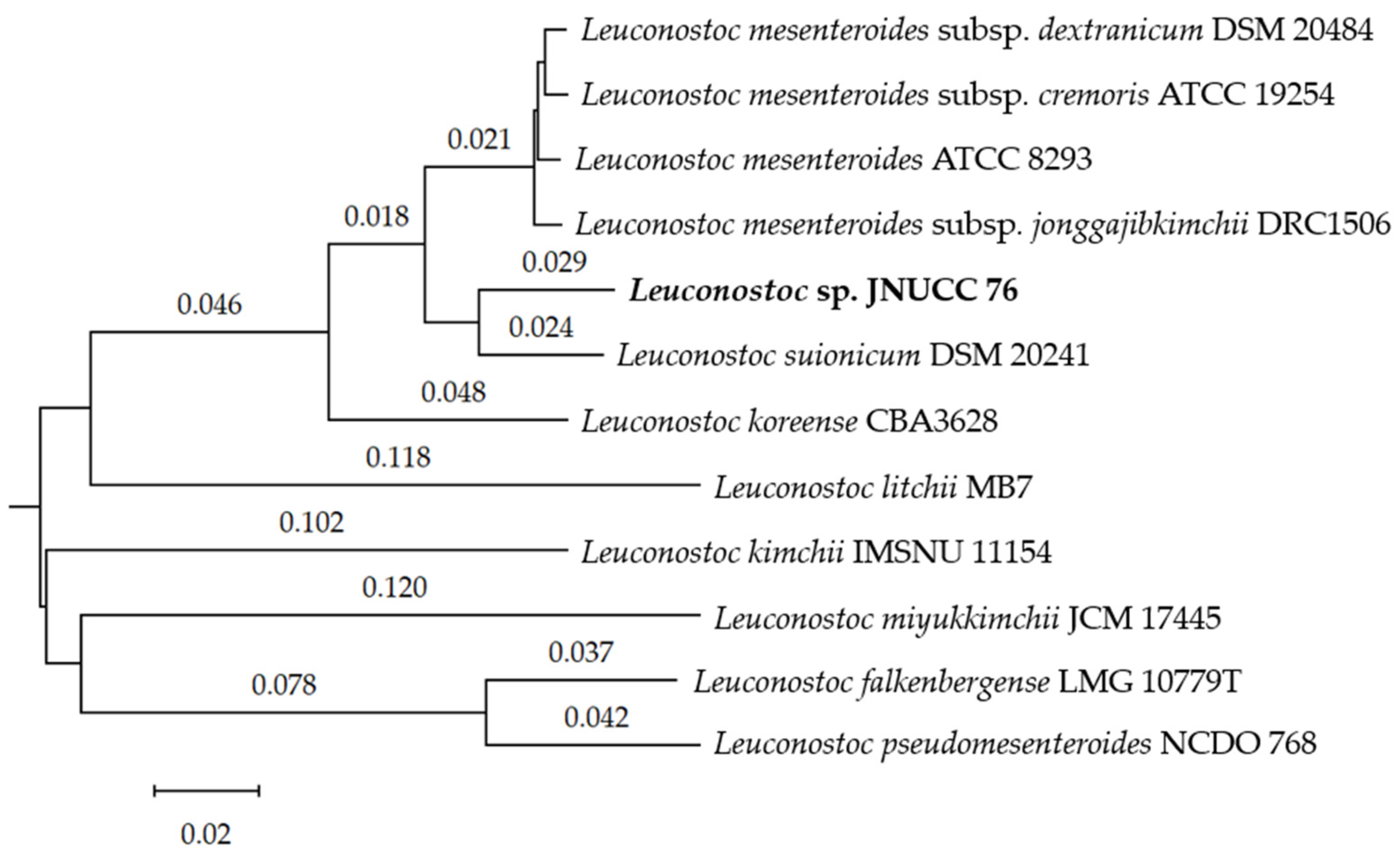 Complete Genome Analysis of a Flower-Associated Leuconostoc suionicum ...